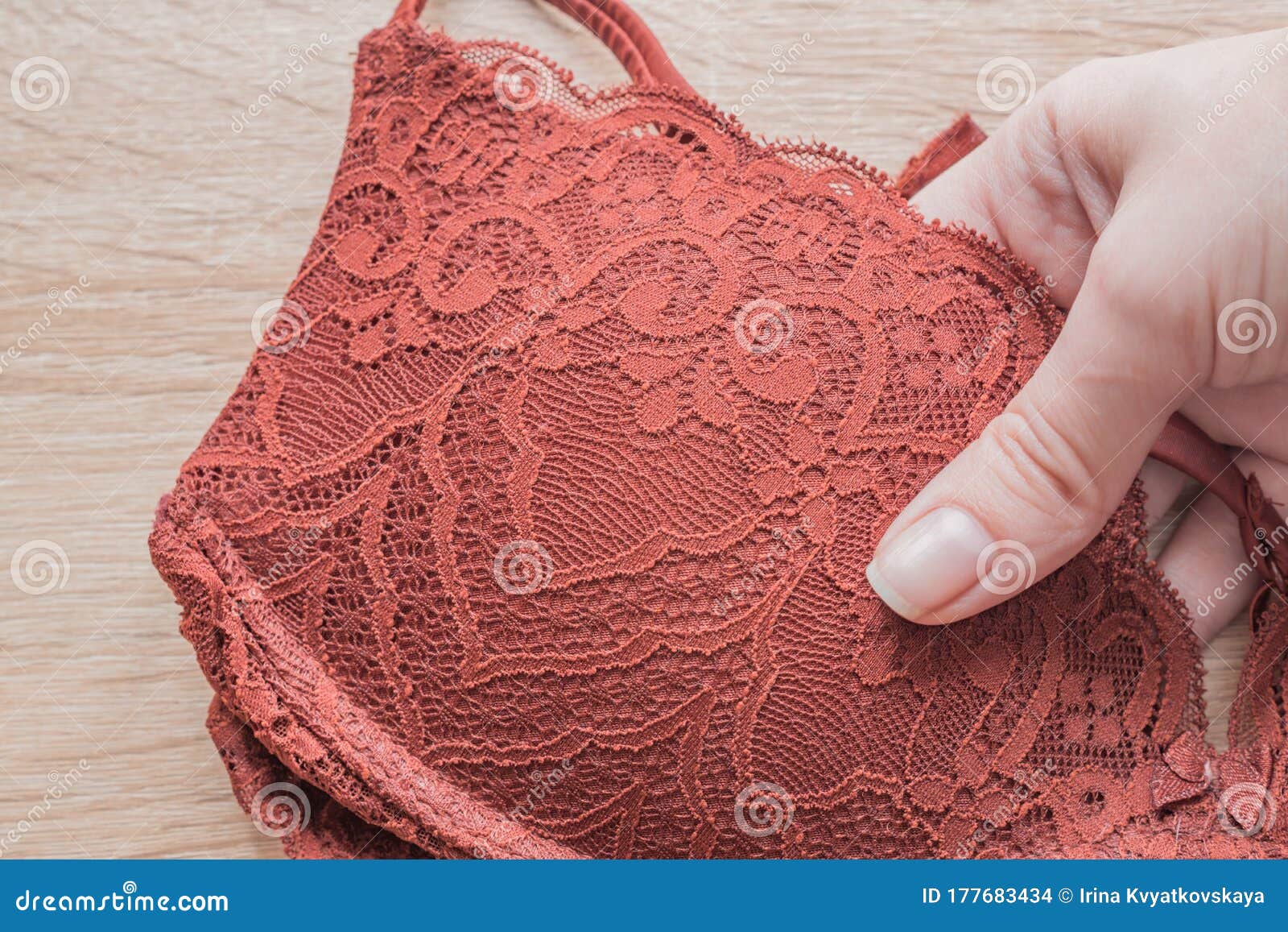 Lace bra in wooman hand stock photo. Image of sensual - 177683434