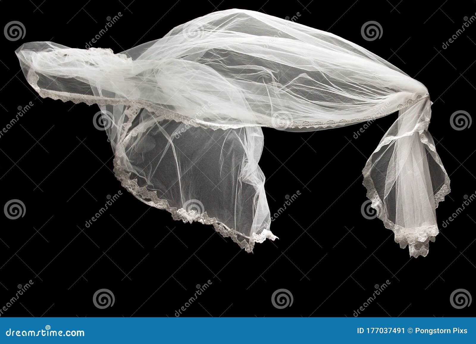 Fine Lace Texture Wedding White Bridal Veil Isolated On The Black ...