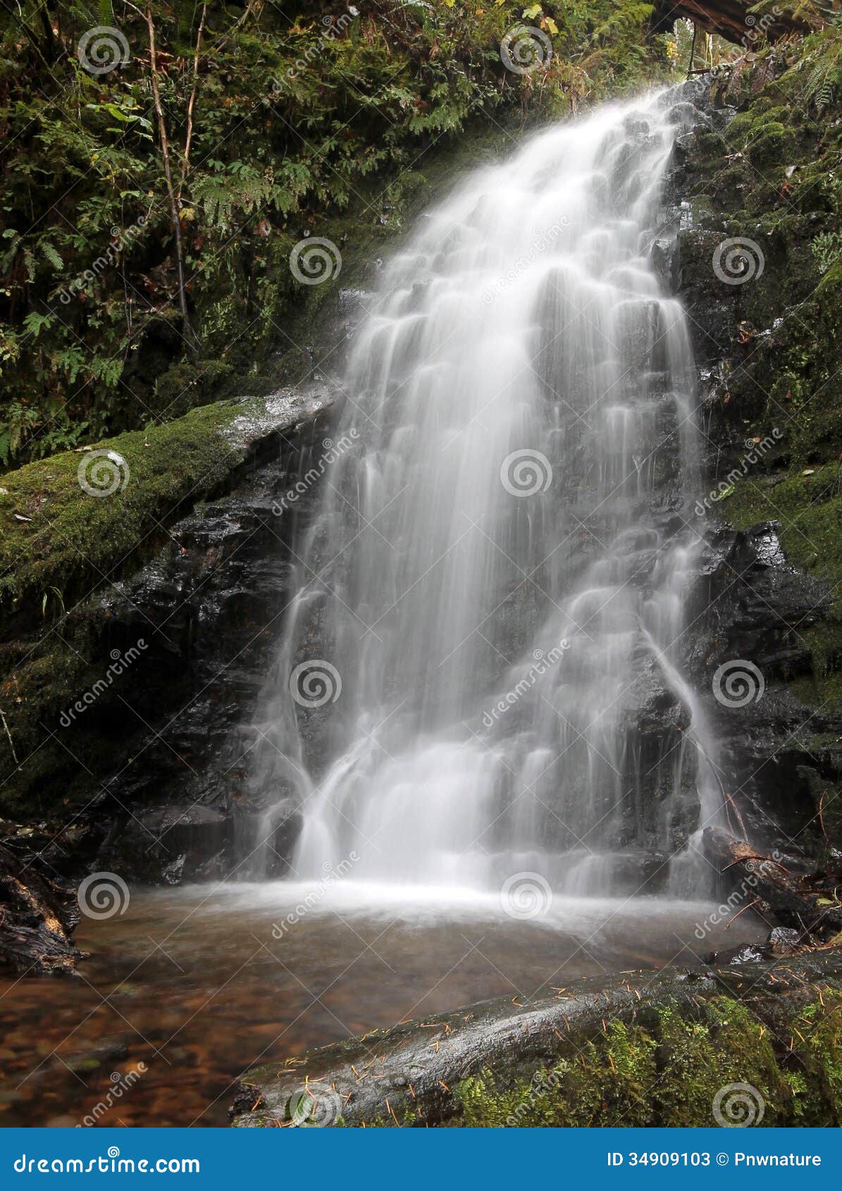 Lacey Waterfall in the Forest Stock Image - Image of outdoors, fall ...