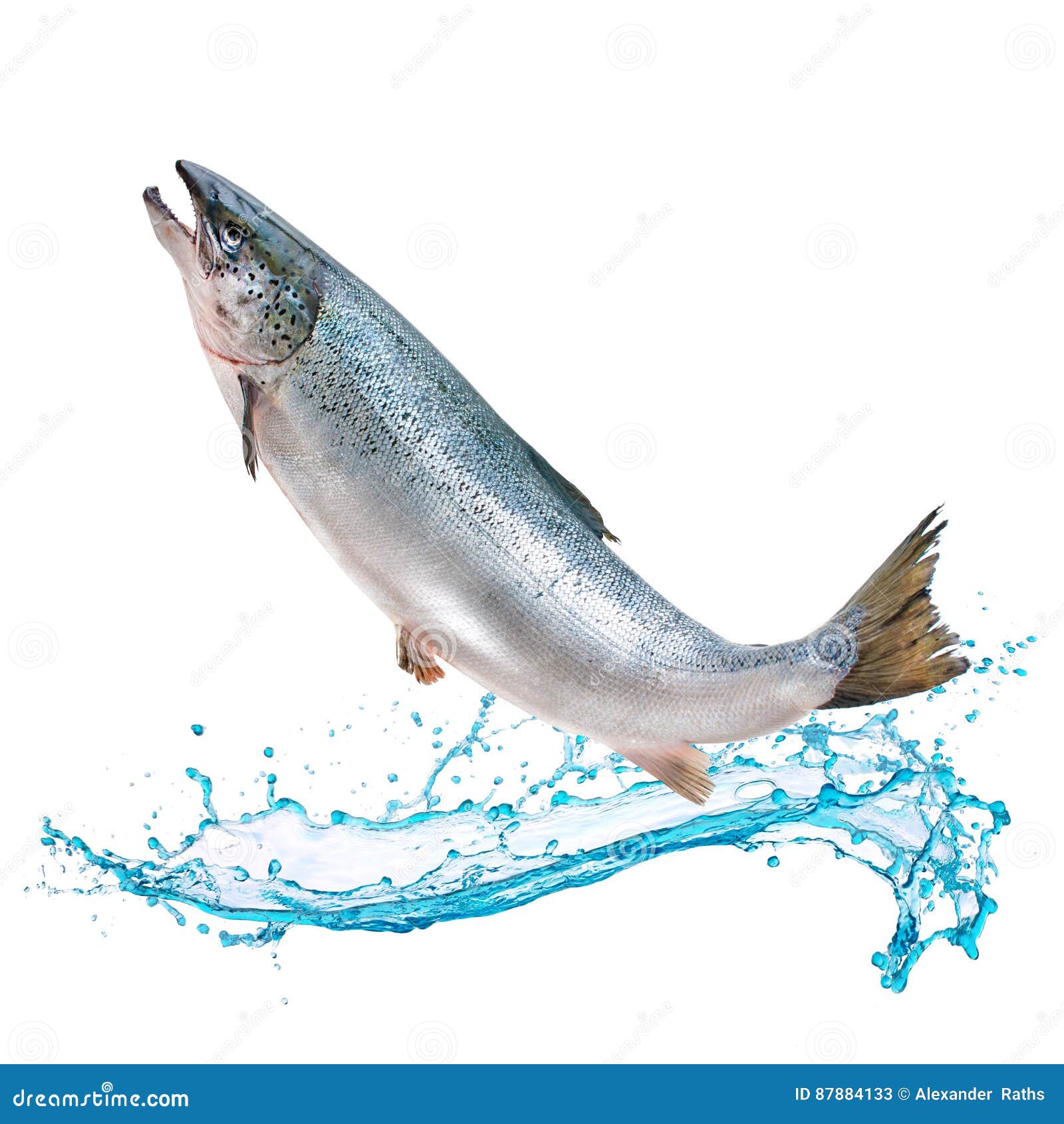 Lachsfischherausspringen Des Wassers Stockbild - Bild von luft, küche ...