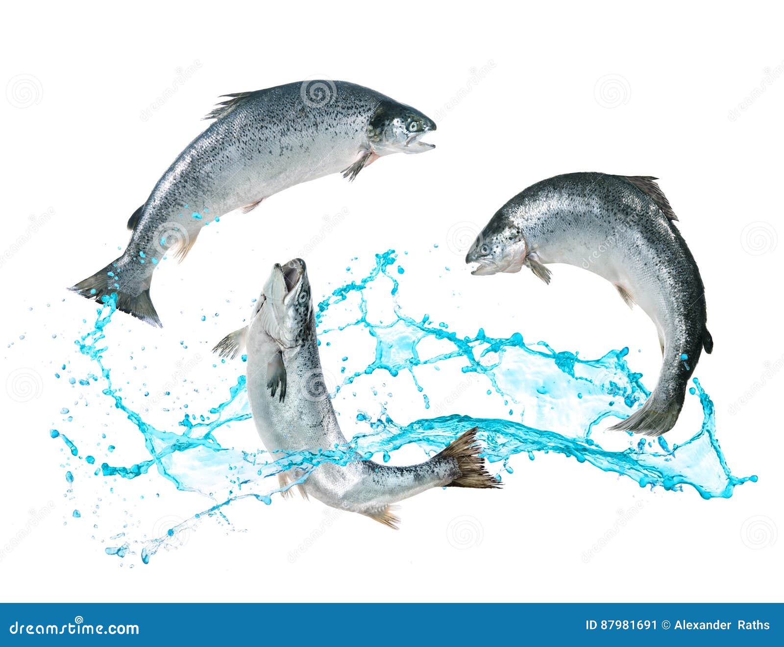 6,333 Springende Wasser Fische Fotos - Kostenlose und Royalty-Free ...