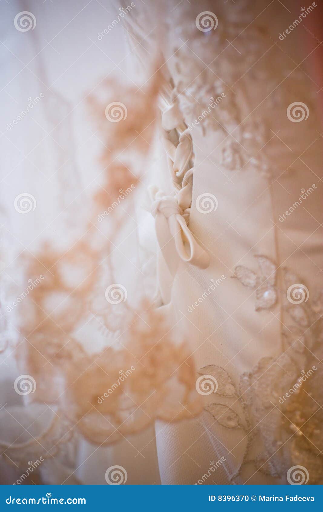 Lacing of the Wedding Dress Stock Photo - Image of female, isolated ...