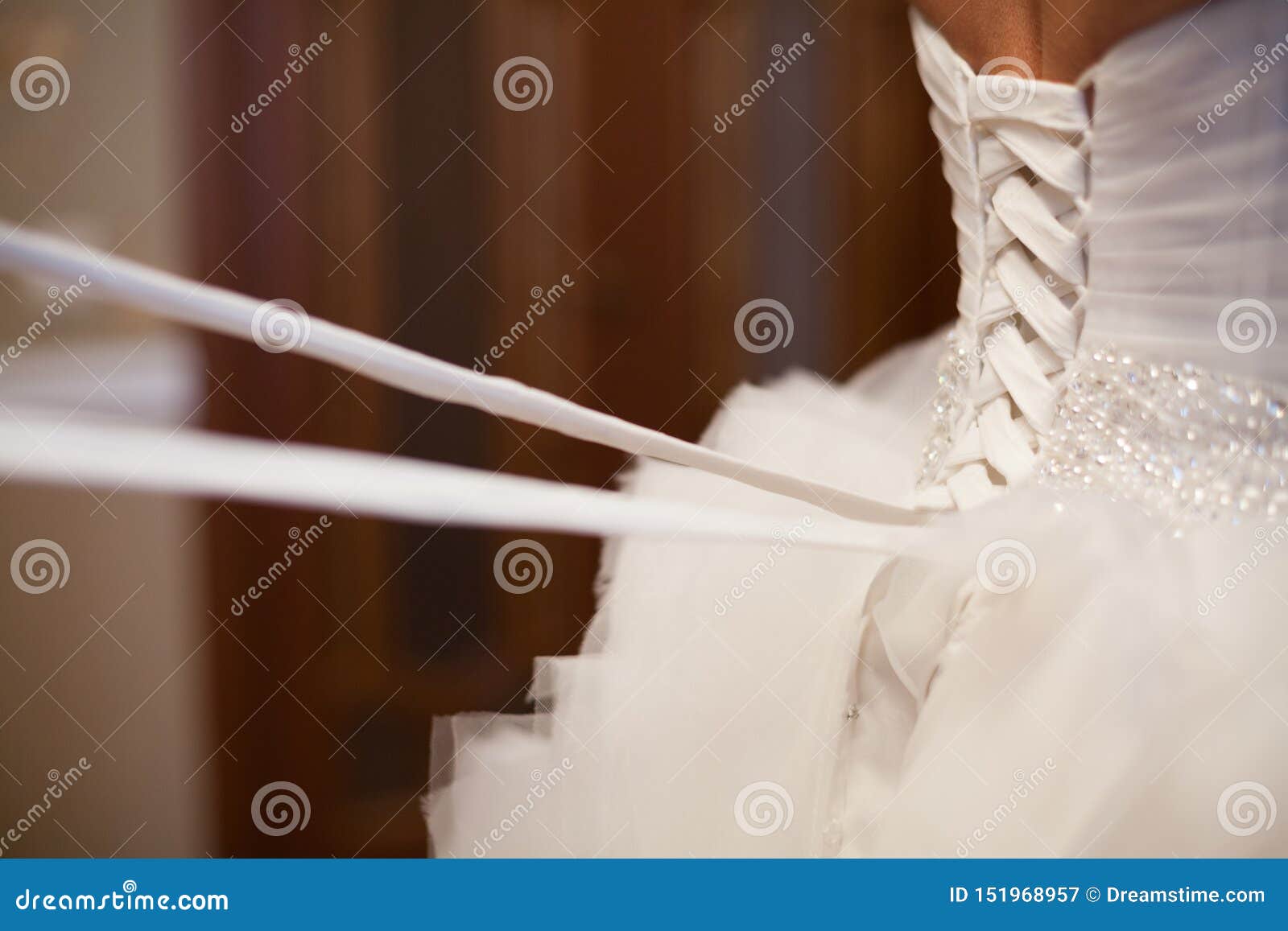 Lacing the wedding dress. stock image. Image of luxury - 151968957
