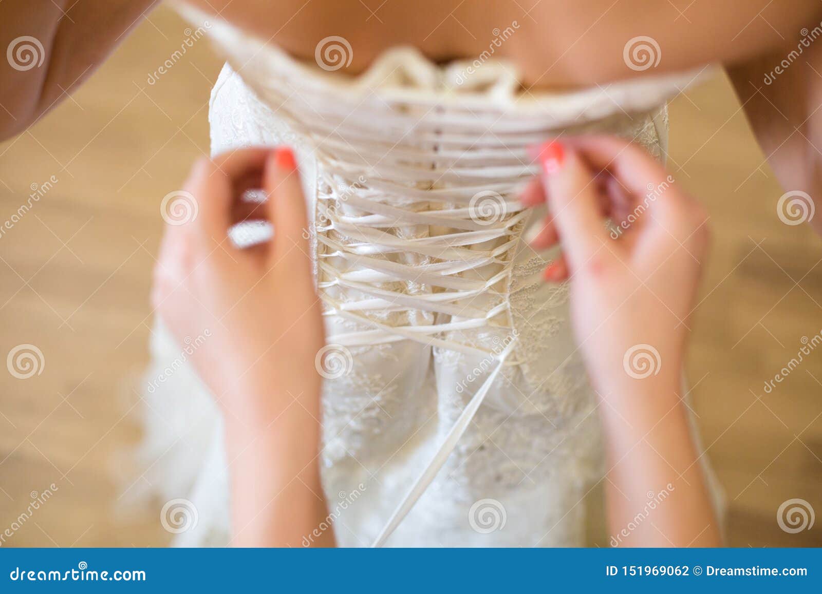 Lacing the wedding dress. stock photo. Image of wedding - 151969062