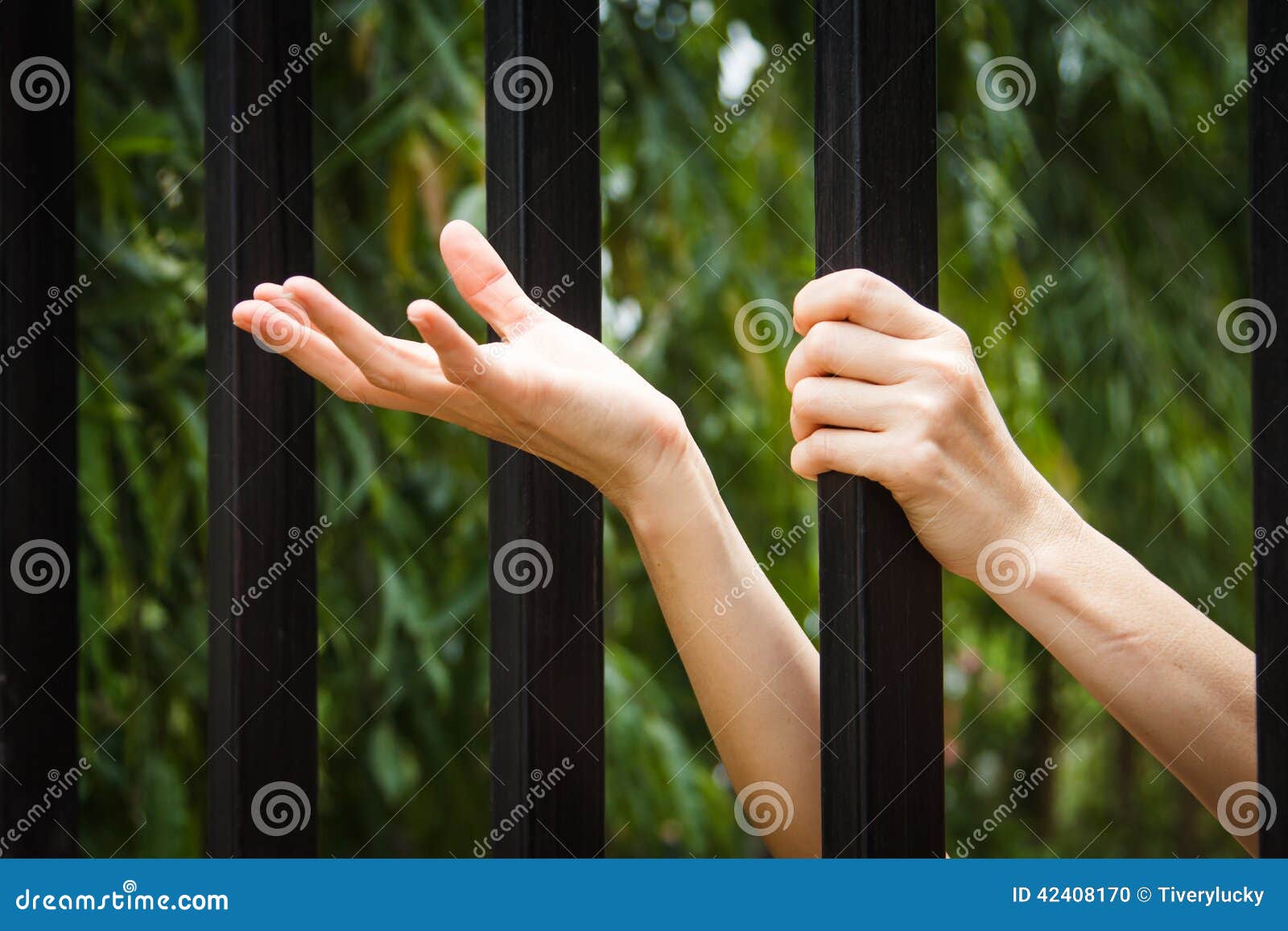 Lack of Independence stock photo. Image of freedom, captivity - 42408170