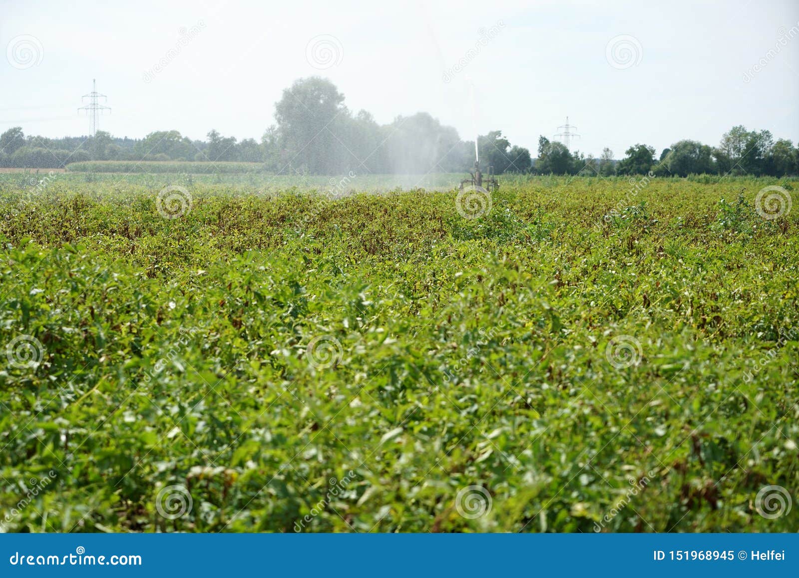 Lack of Rainfall and Climate Change Lead To Dryness and Drought at High ...