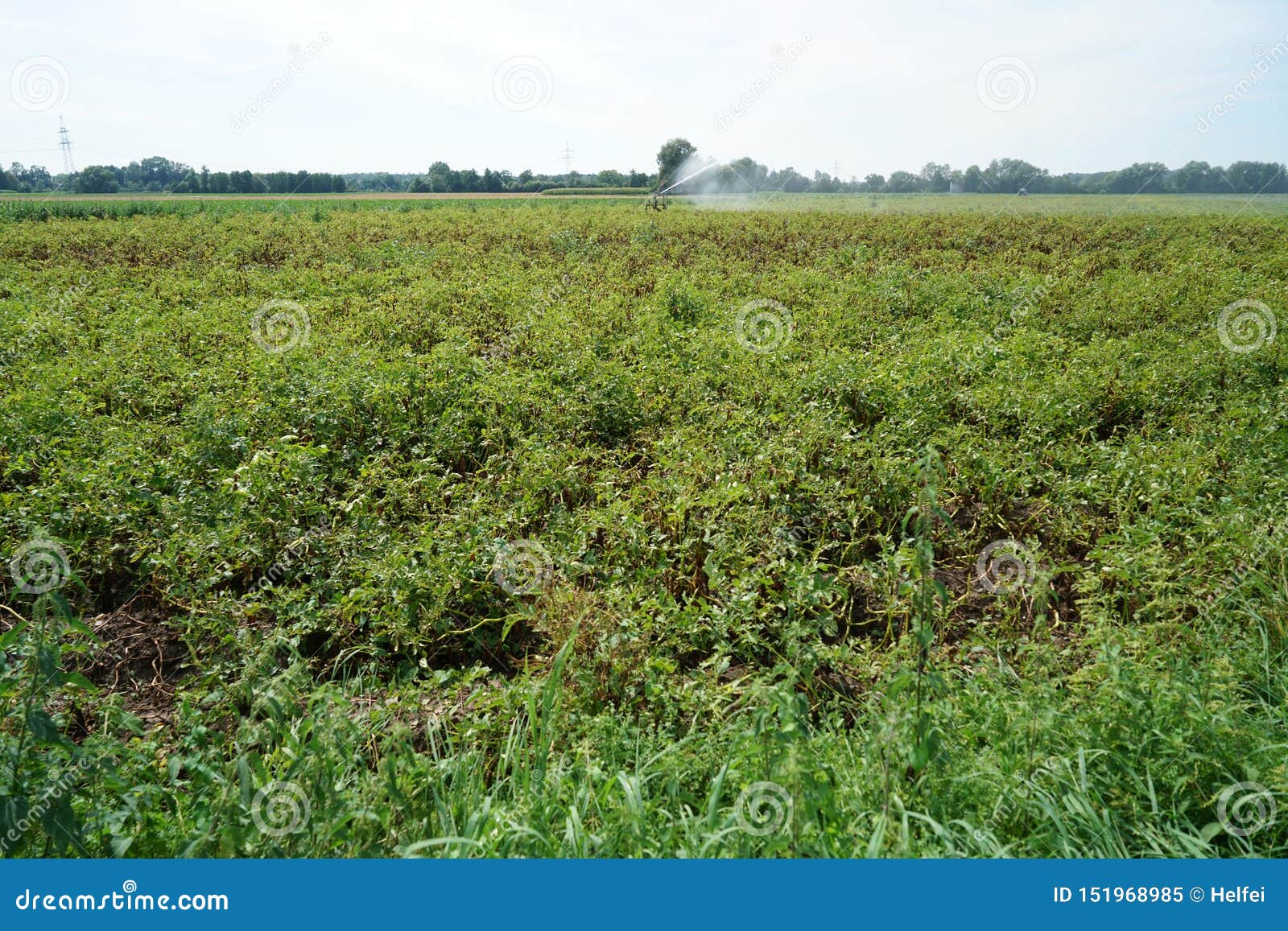 Lack of Rainfall and Climate Change Lead To Dryness and Drought at High ...