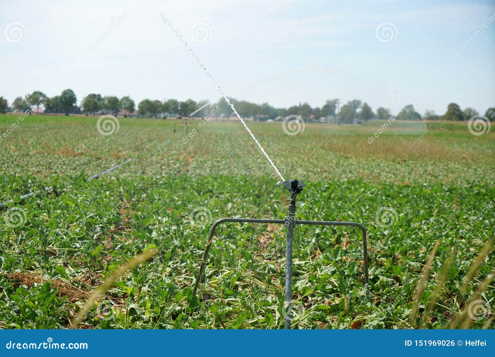 Lack of Rainfall and Climate Change Lead To Dryness and Drought at High ...