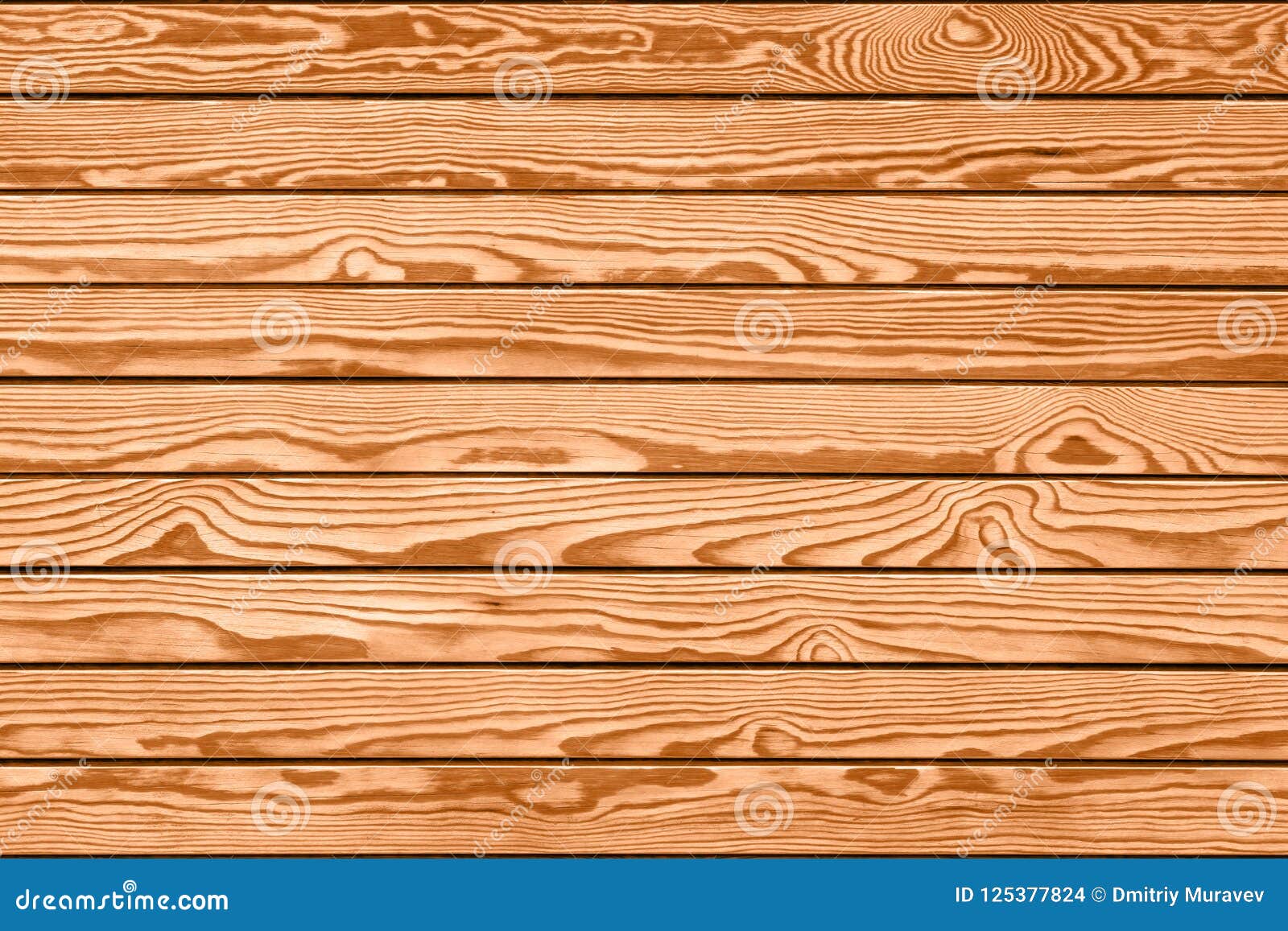 Lacquered Boards with Natural Pattern, Wood Texture Stock Photo - Image ...
