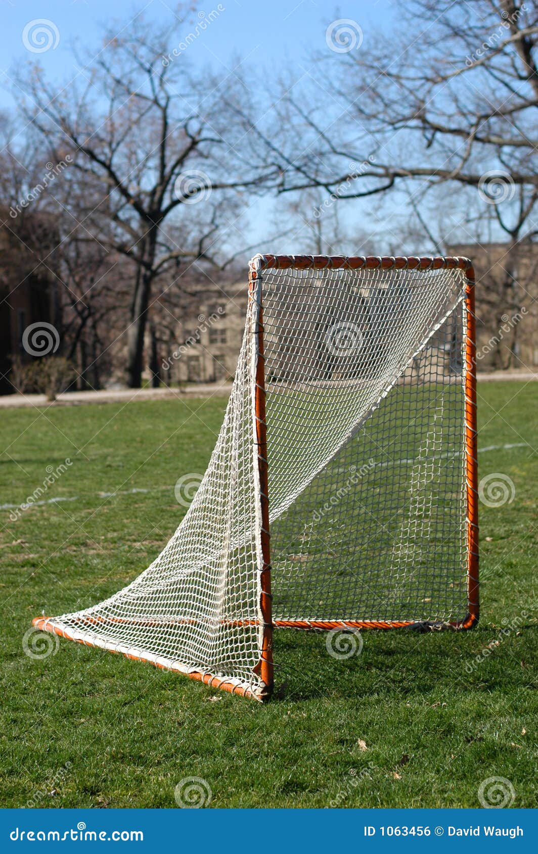 Lacrosse Goal stock photo. Image of collegiate, intramural - 1063456