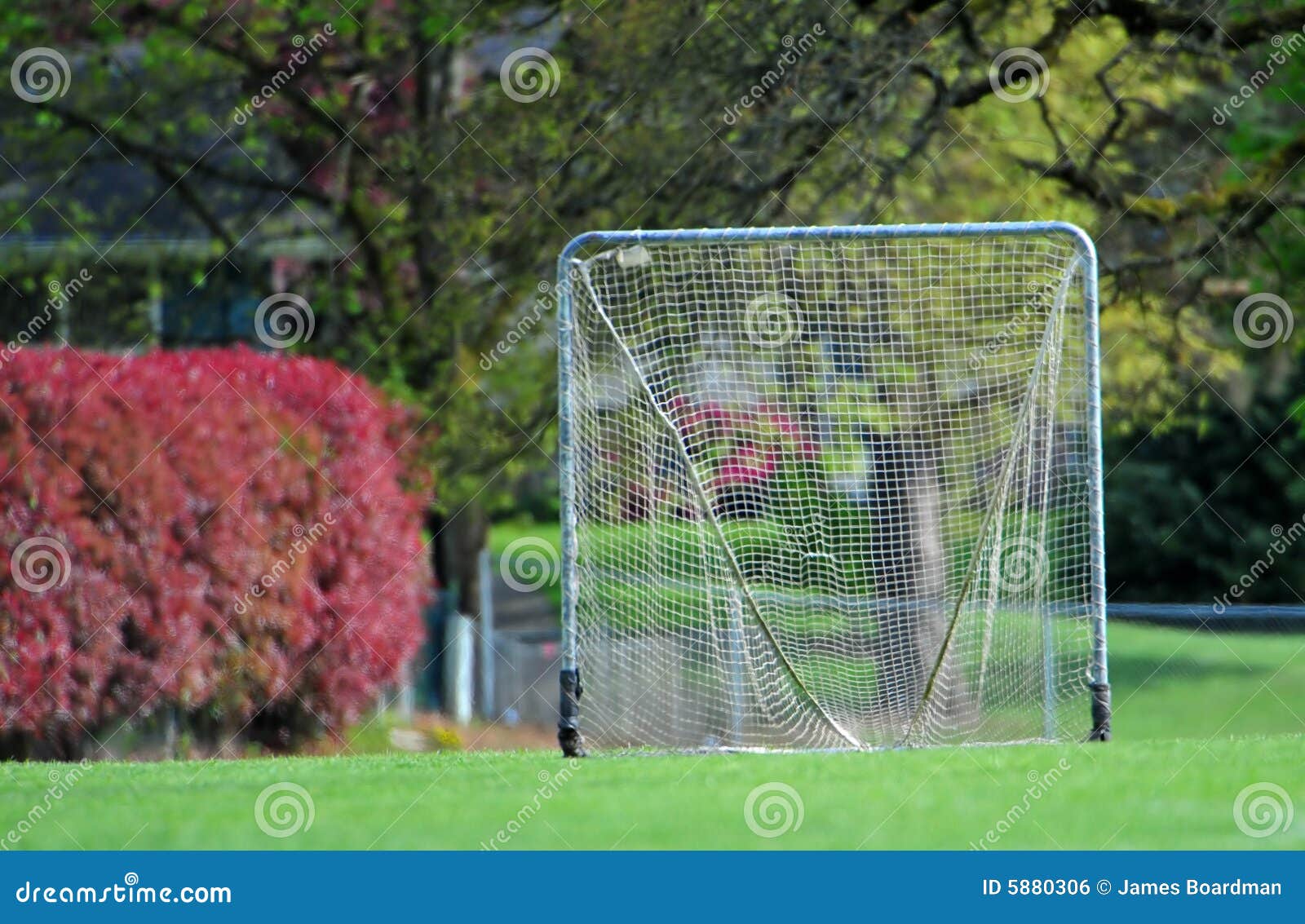 Lacrosse goal net stock photo. Image of target, equipment - 5880306