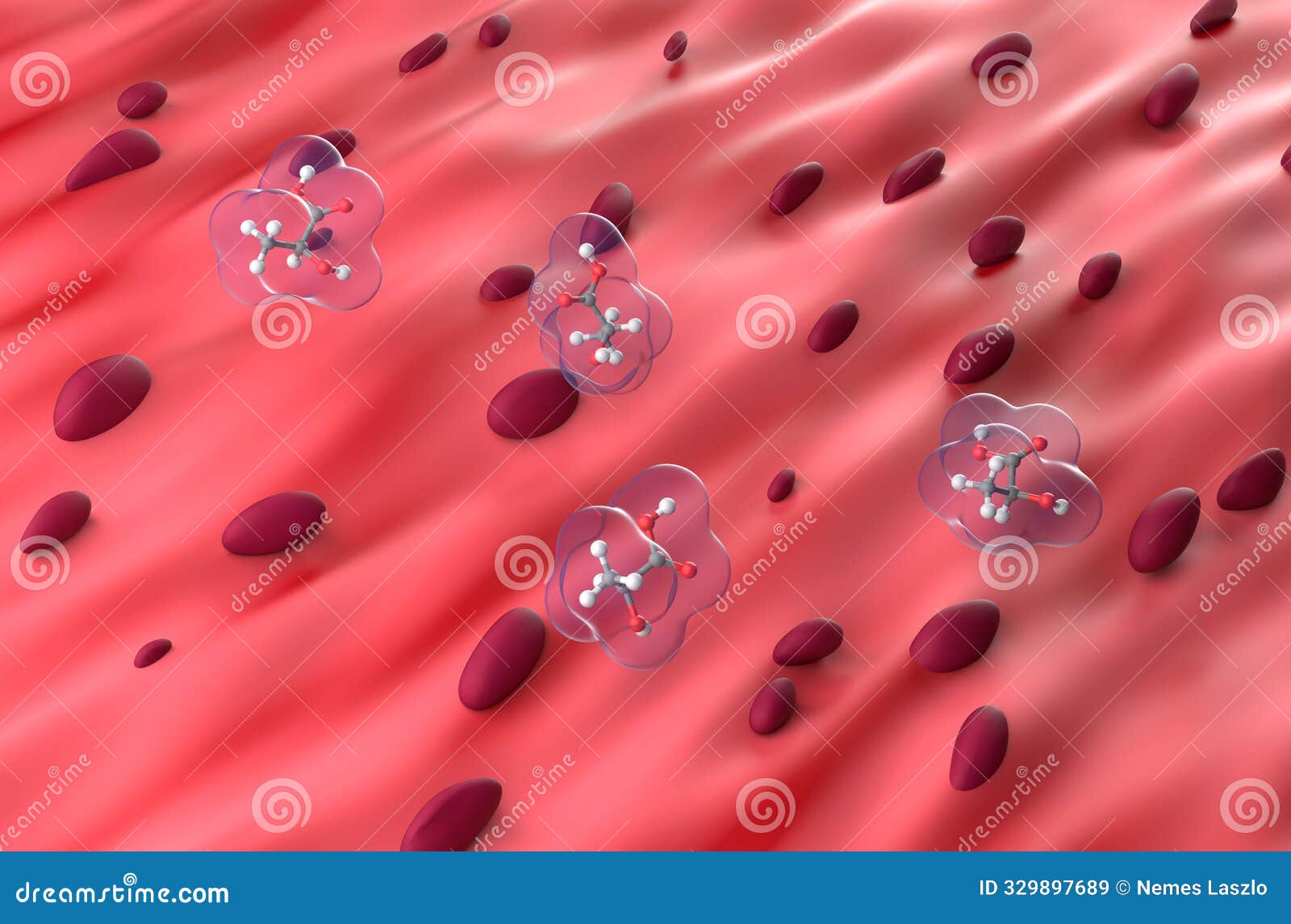 Lactic Acid in Muscle Tissue - 3d Illustration Isometric View Stock ...