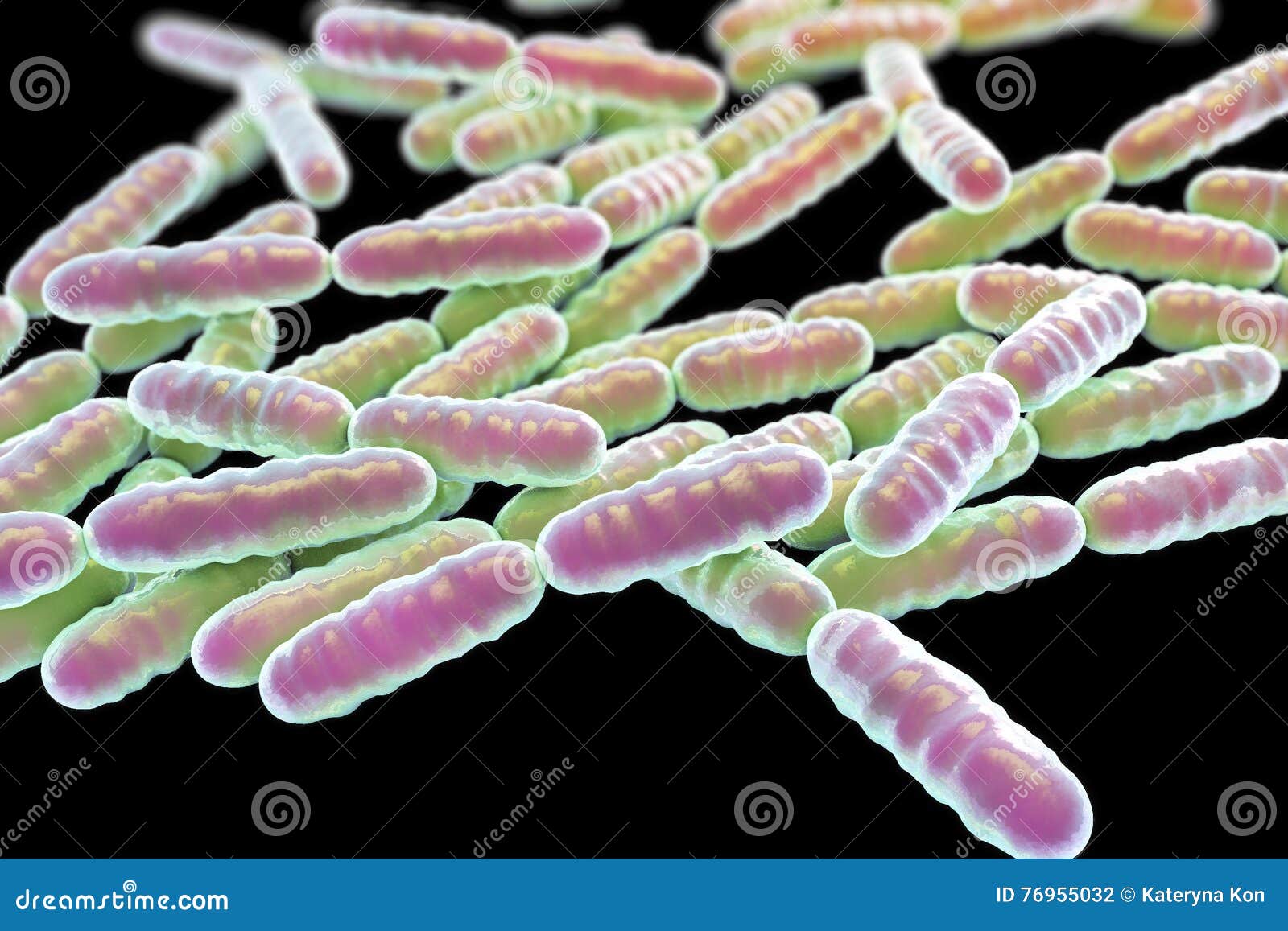 Lactobacille Probiotic De Bactéries Illustration Stock - Illustration ...