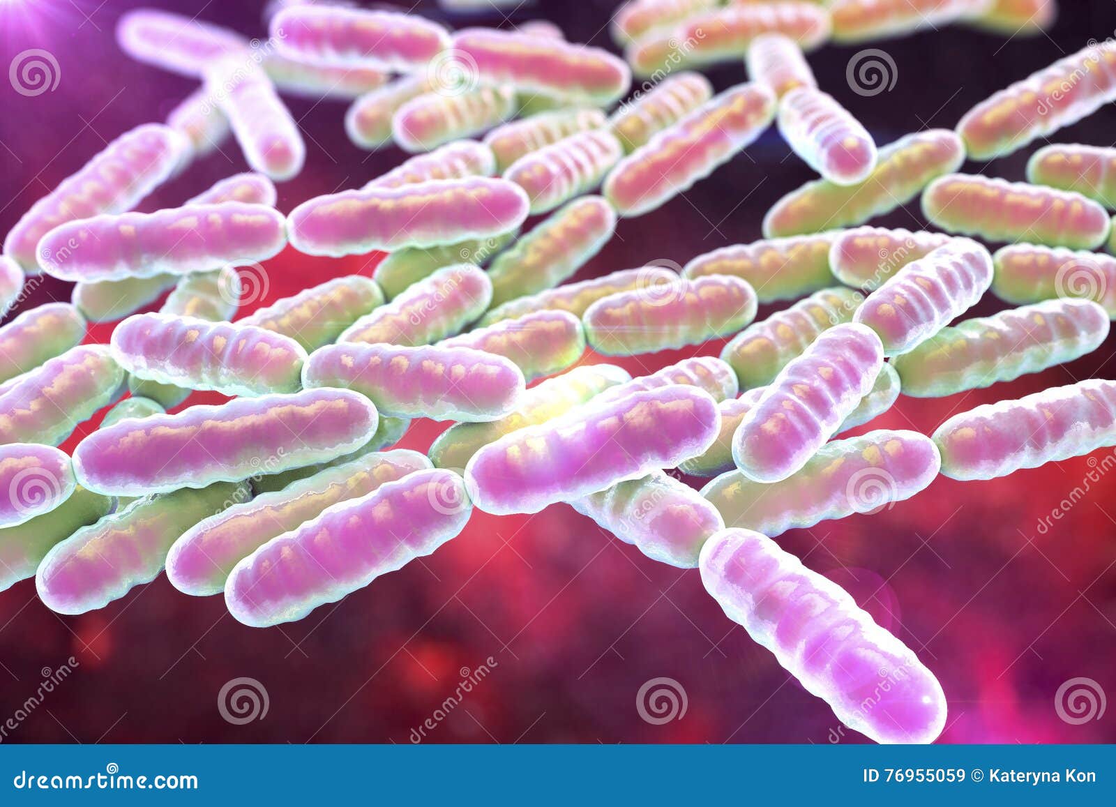 Lactobacille Probiotic De Bactéries Illustration Stock - Illustration ...