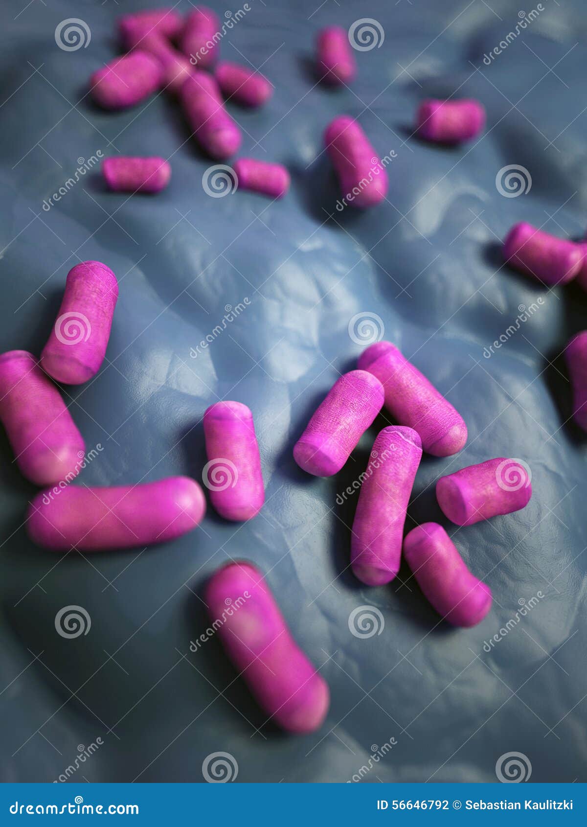 The Lactobacillus - Close Up Stock Illustration - Illustration of ...