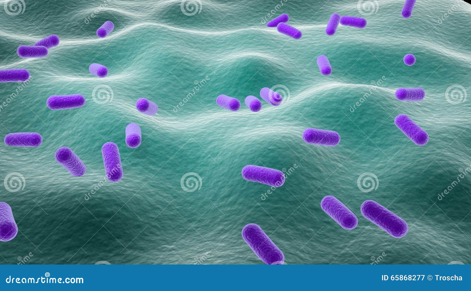 Lactobacillus stock illustration. Illustration of microbe - 65868277