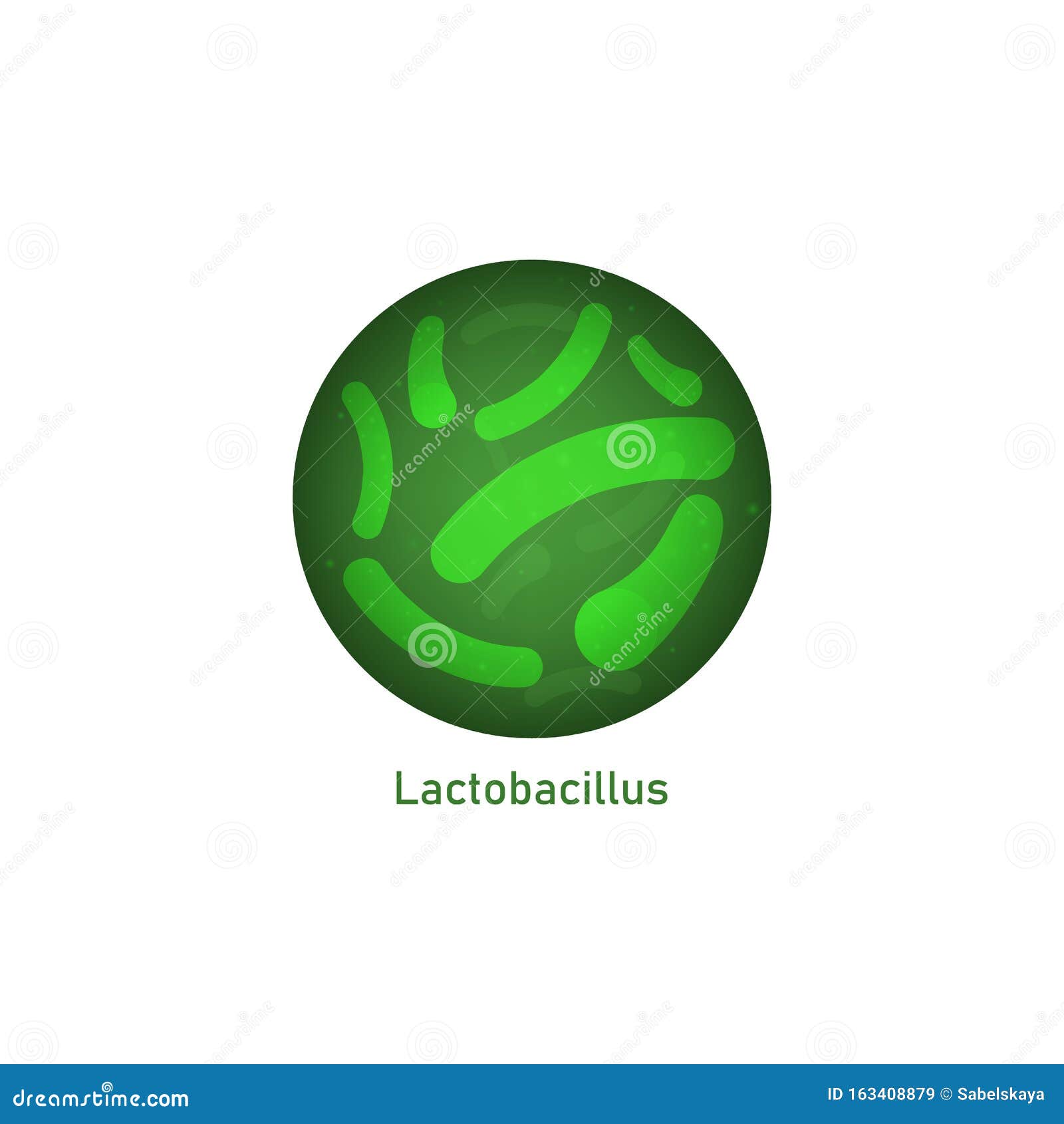 Lactobacillus Icon - Microscope View of Green Probiotic Bacteria Inside ...