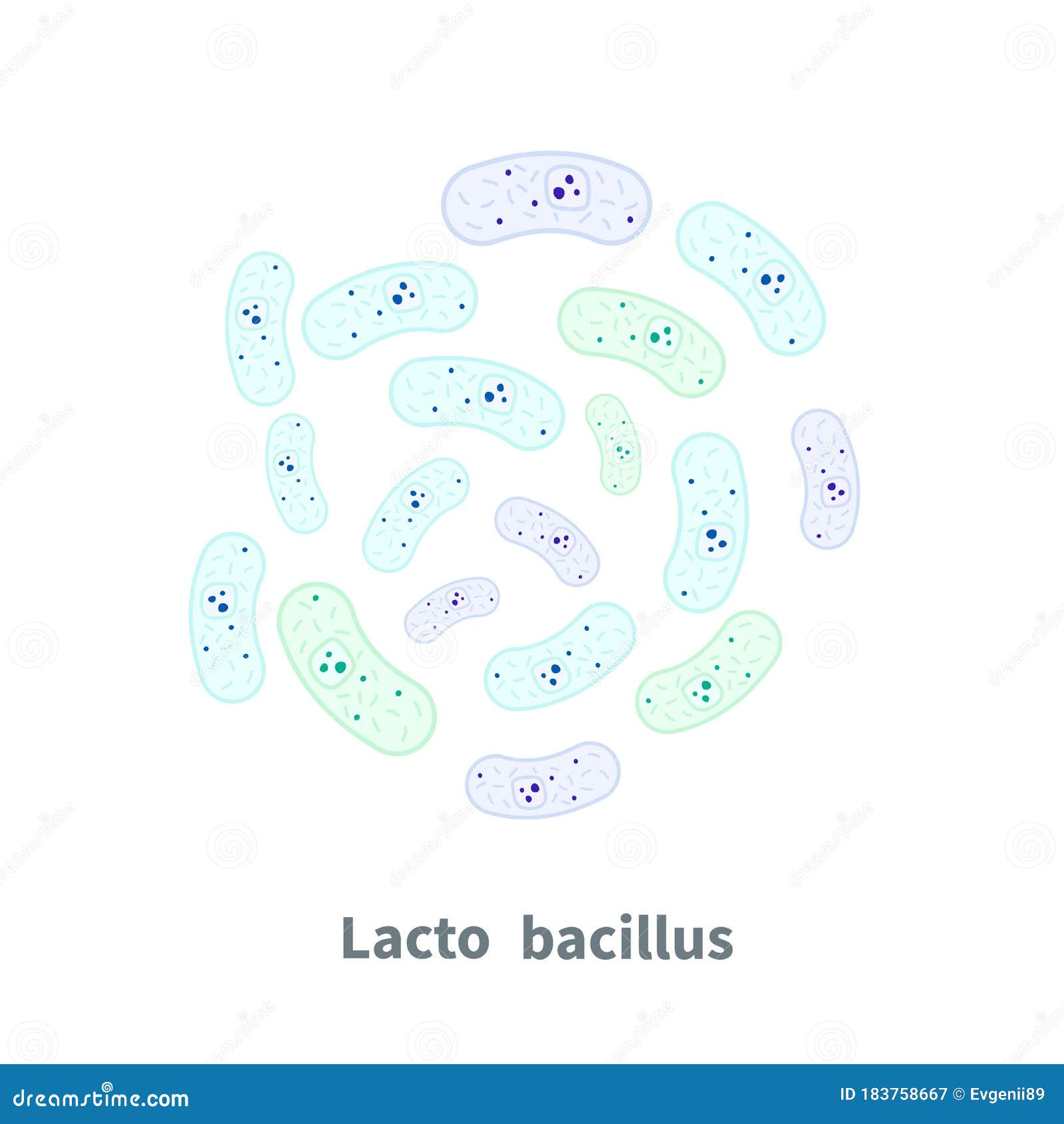 Lactobacillus Probiotics Icon Vector Illustration | CartoonDealer.com ...