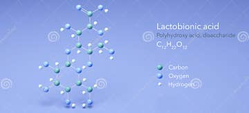 Lactobionic Acid, Lactobionate, Molecular Structures, 3d Model ...