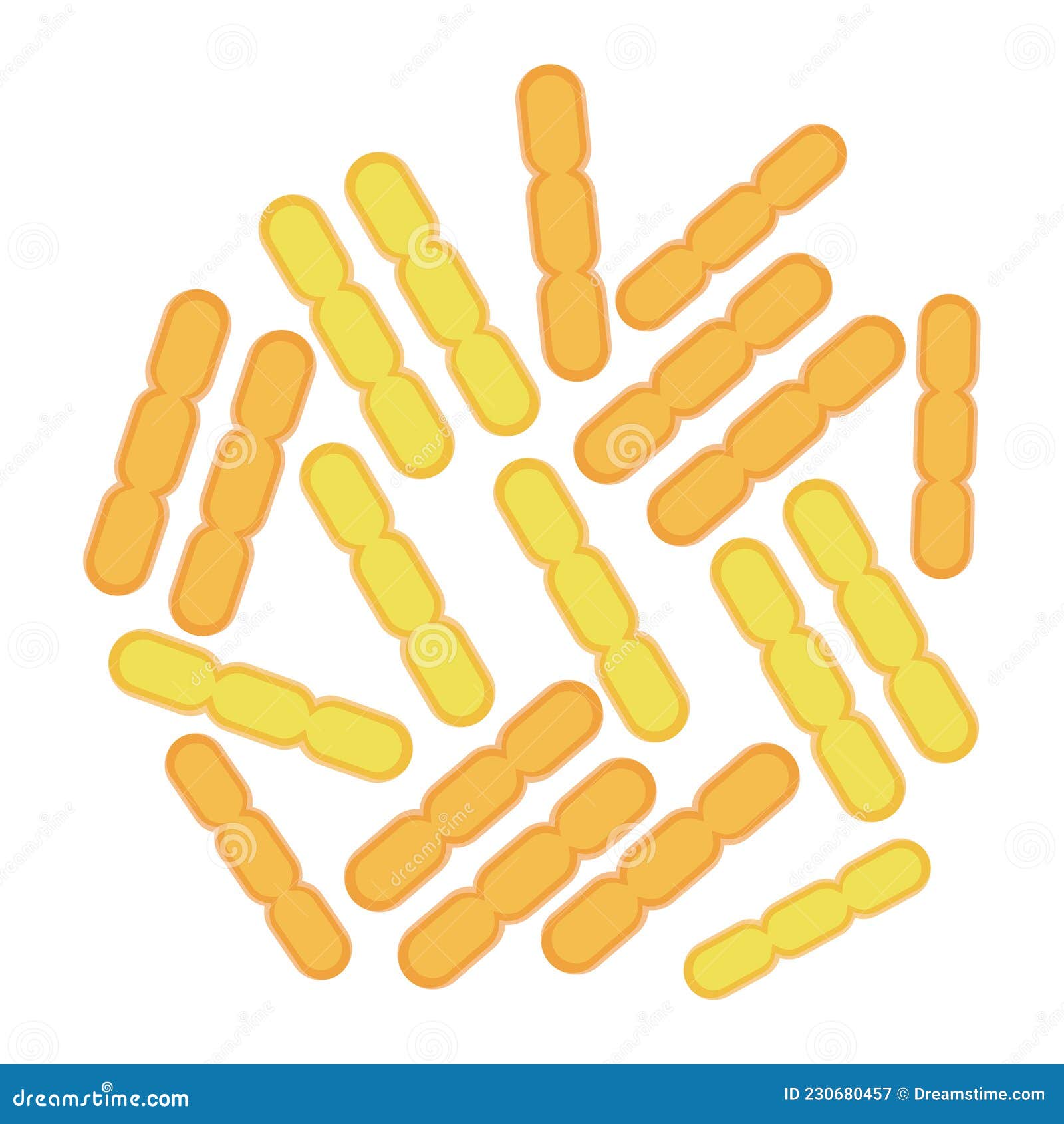 Lactococcus Lactis. Bacteria Close-up Stock Vector - Illustration of ...