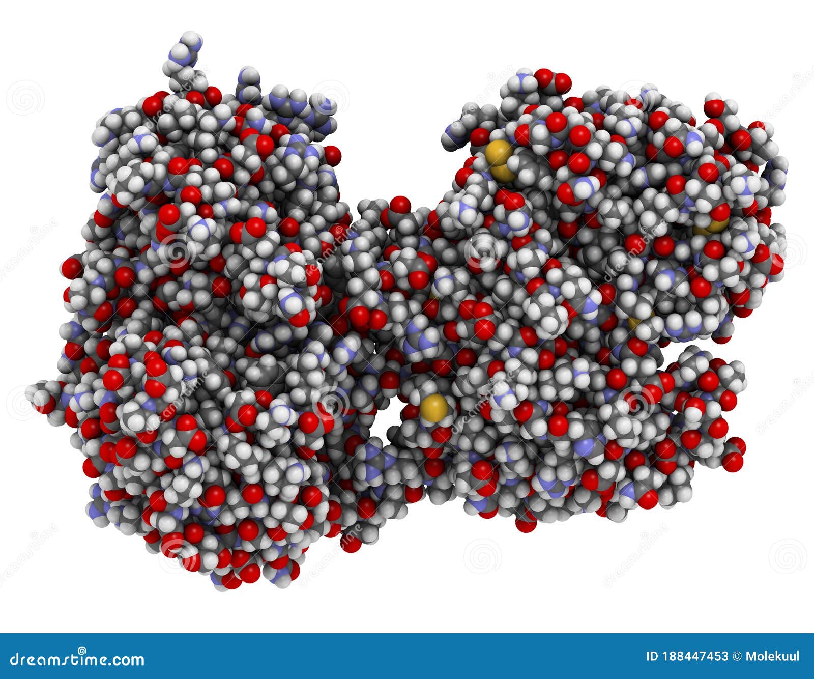 Lactoferrin Protein. Lactoferrin is an Iron-binding Protein that is ...
