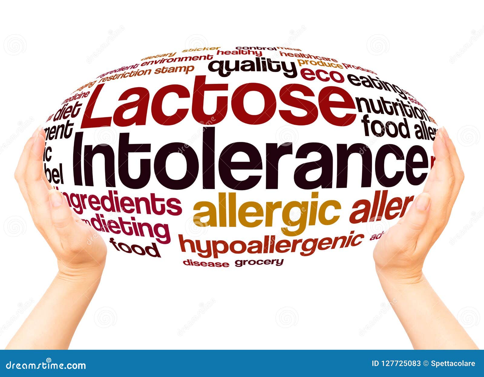 Word Intolerance Highlighted By Light, Gray Tones, German, Isolated ...