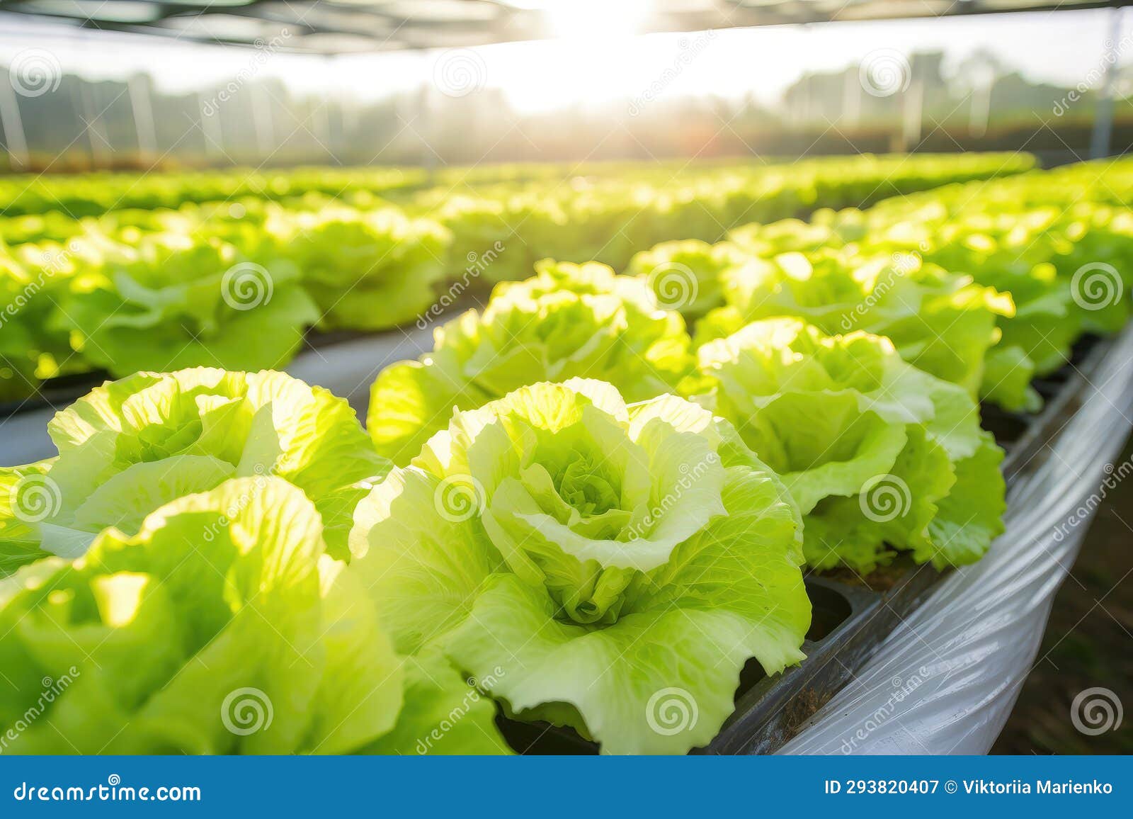 Leaf Farming Commitment Teamwork Together Outline Logo Vector ...