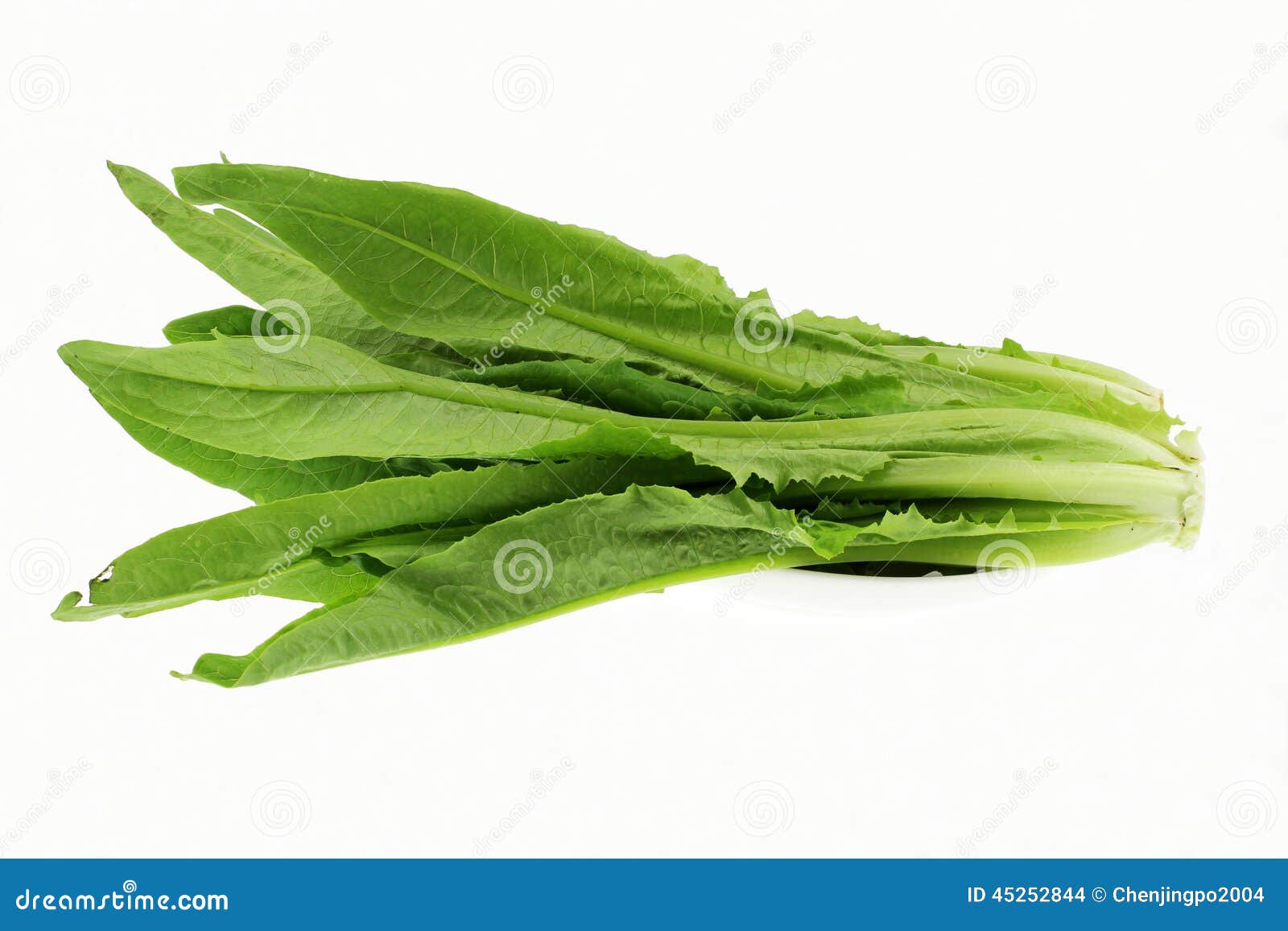 The Lactuca sativa L stock photo. Image of lettuce, food - 45252844
