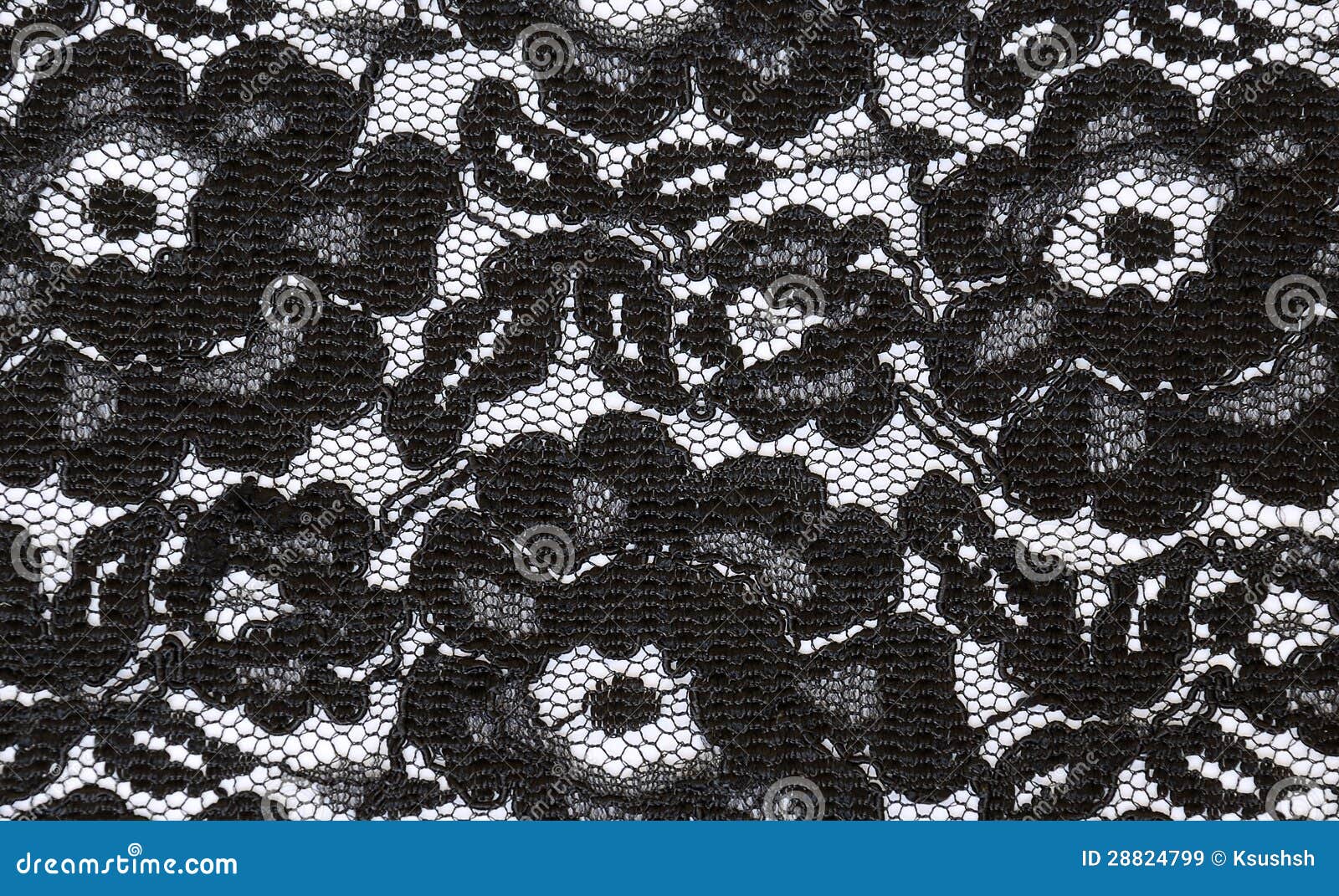 Lacy texture stock image. Image of lace, pattern, fabric - 28824799