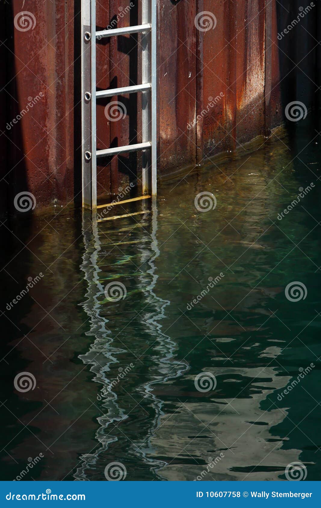 Ladder stock photo. Image of steps, water, summer, nature - 10607758