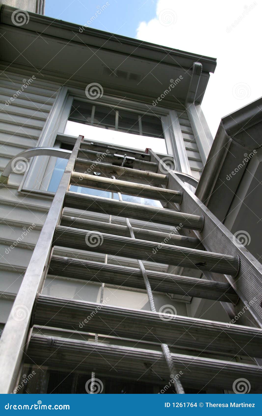 Ladder stock photo. Image of home, gutters, ladder, ground - 1261764