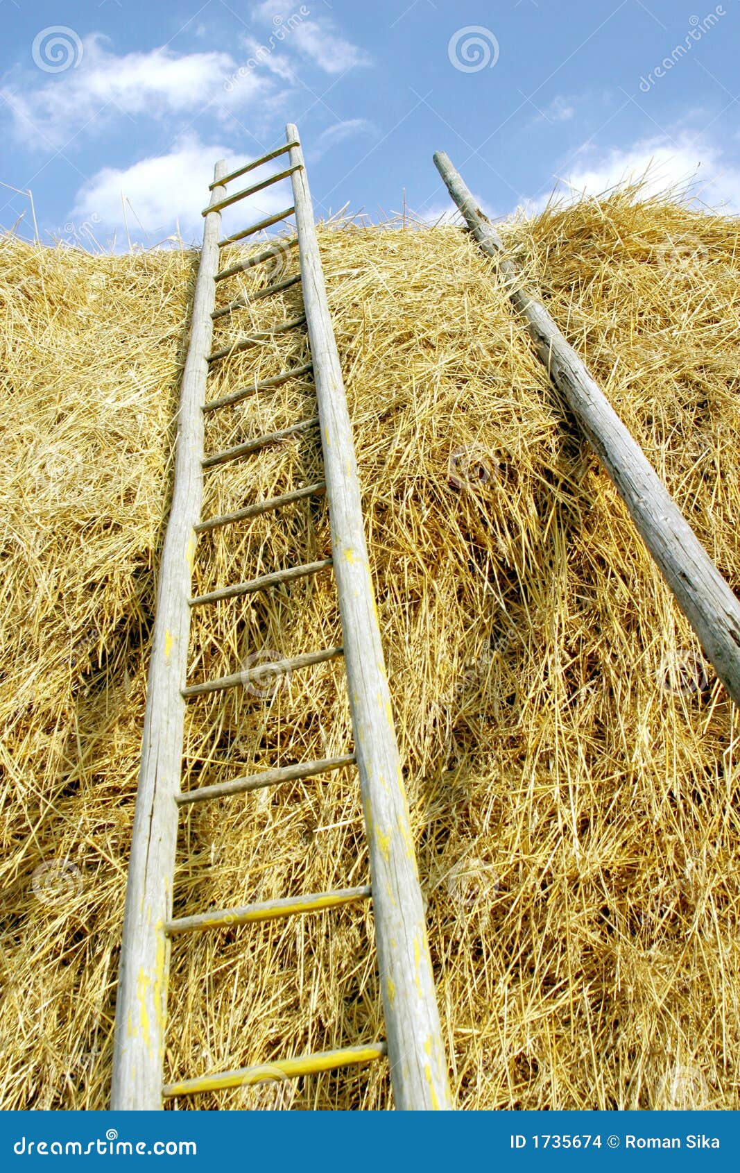 Ladder. stock photo. Image of farm, autumn, farmland, carbon - 1735674