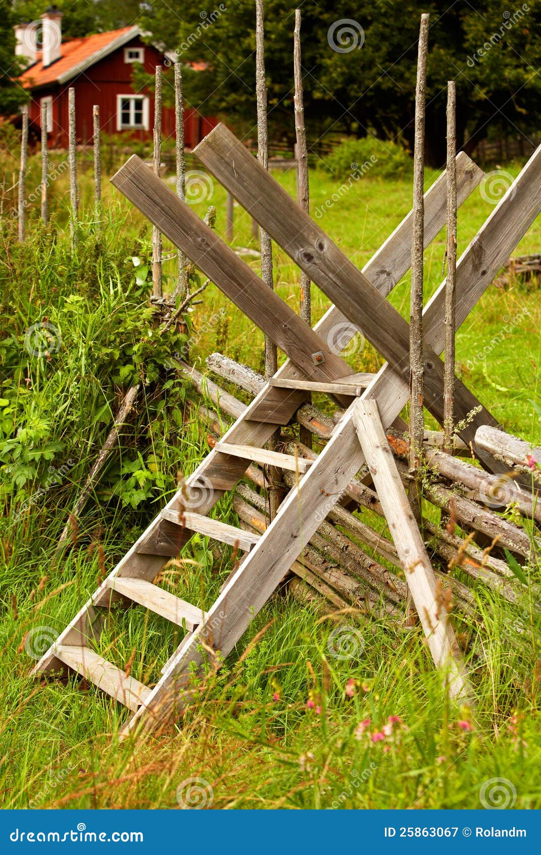 Ladder stock image. Image of fenced, natural, grazing - 25863067