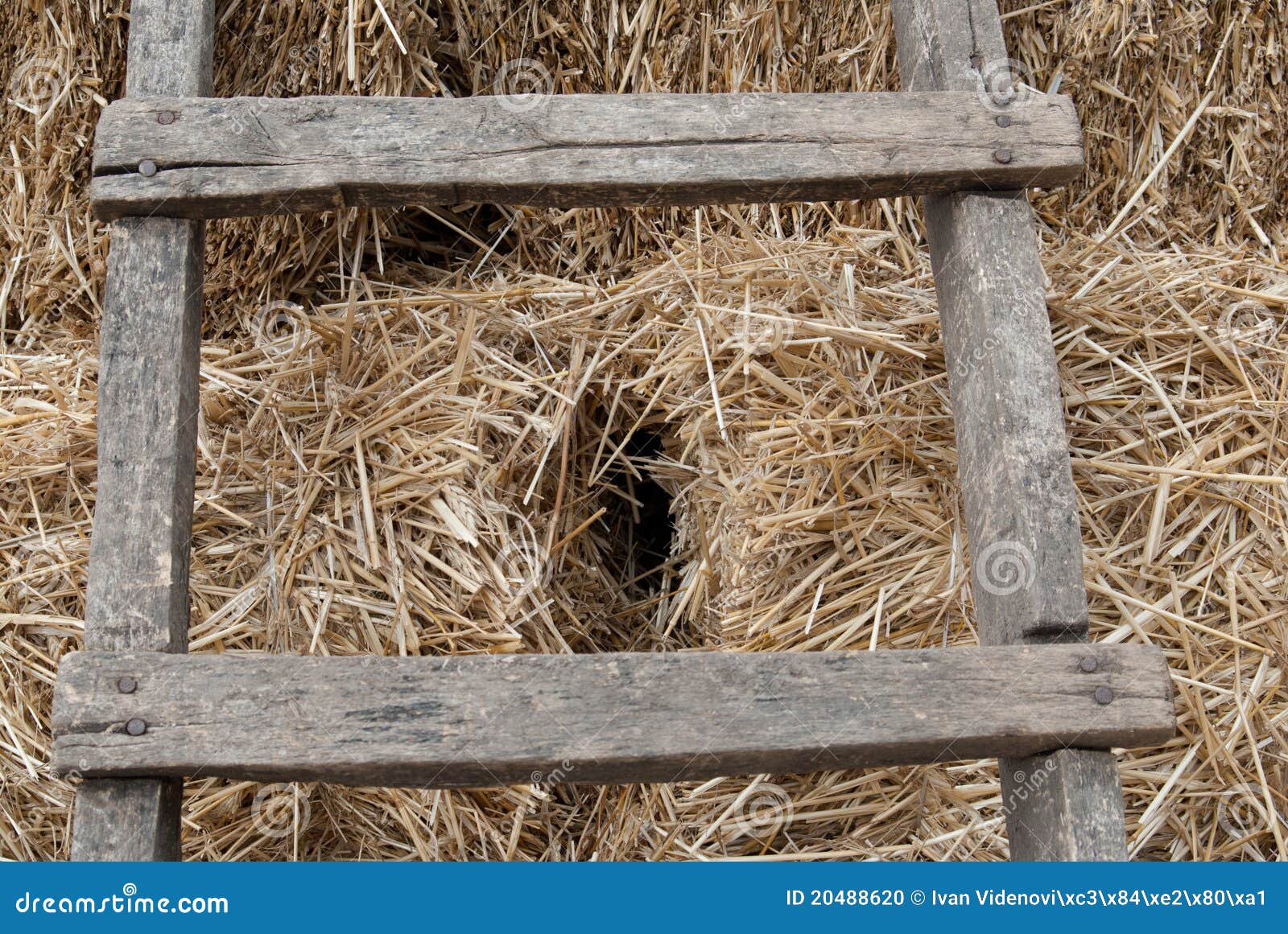 Ladder Against Haystack stock photo. Image of straw, agriculture - 20488620