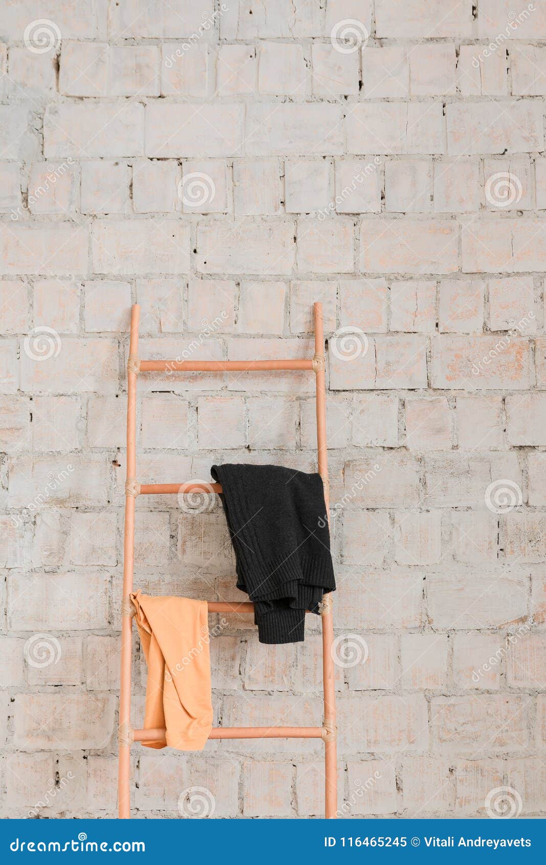 Ladder for Clothes in a Loft Style of Wood Stock Image - Image of ...
