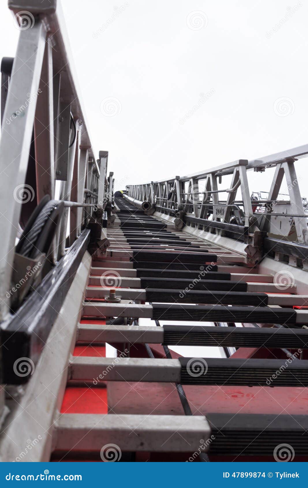 Ladder stock photo. Image of heavy, fireman, height, truck - 47899874