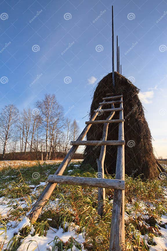 Ladder on the hayrick stock photo. Image of cyan, ricker - 47580860