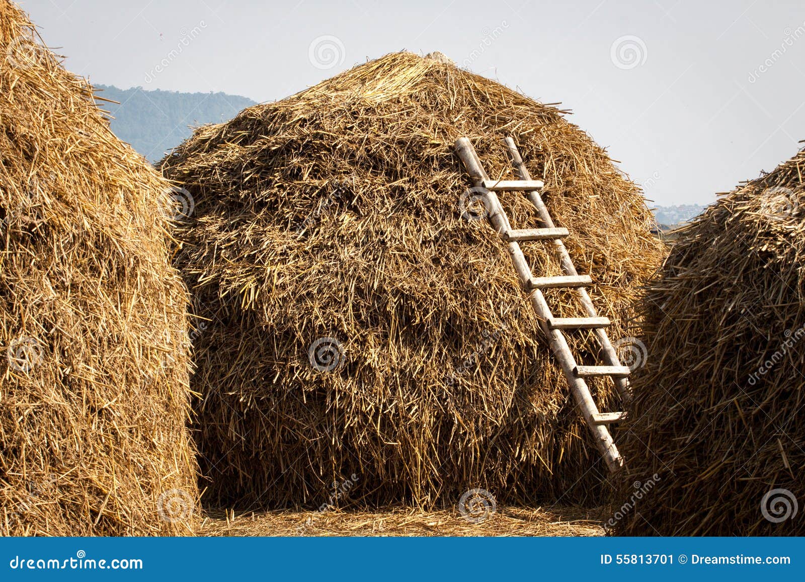 Ladder haystack stock image. Image of interesting, advance - 55813701