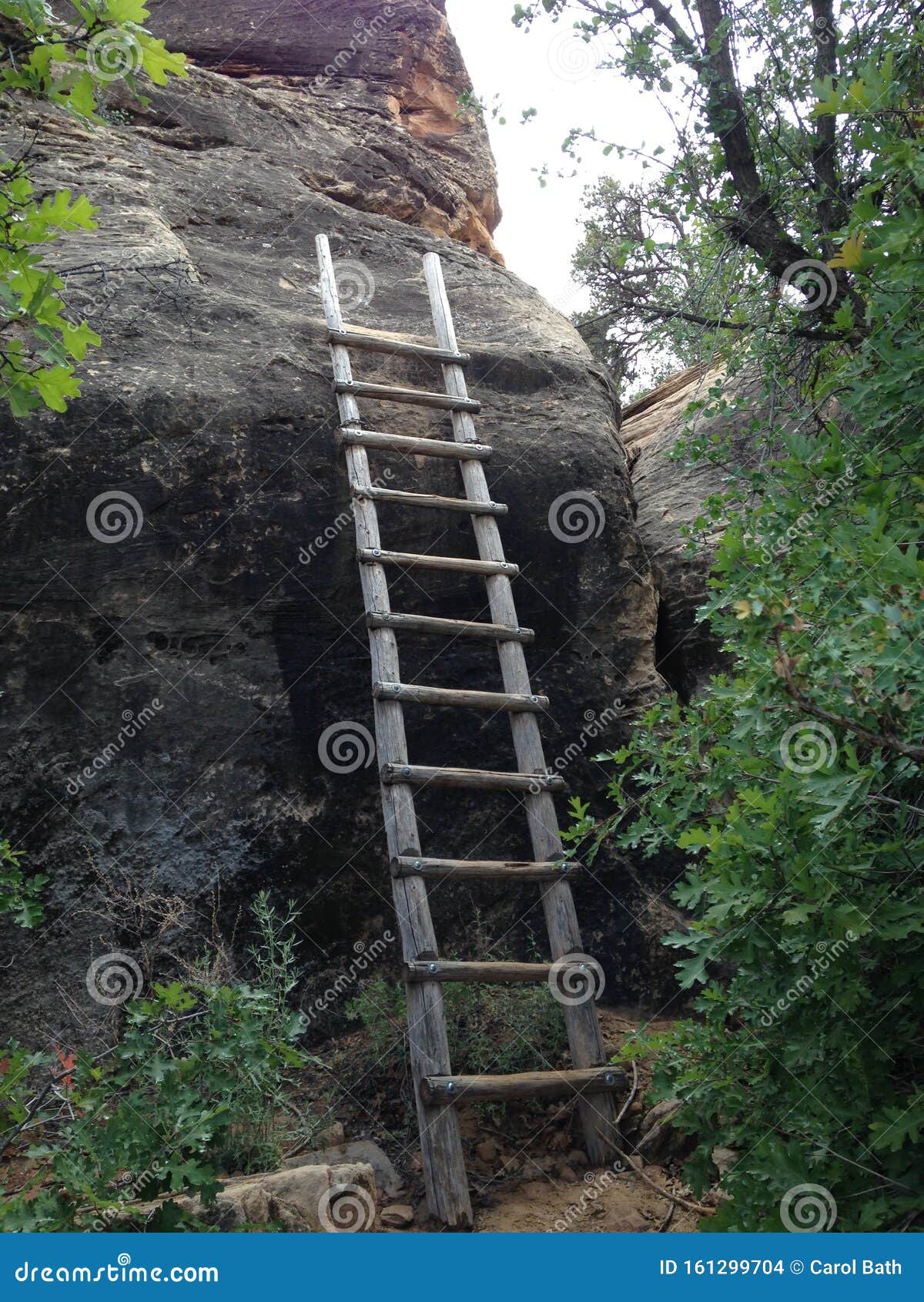 Ladder stock photo. Image of hiking, ladder, desert - 161299704