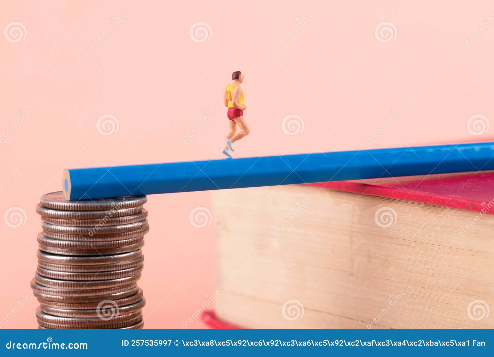 Ladder between Knowledge and Wealth Stock Image - Image of miniature ...