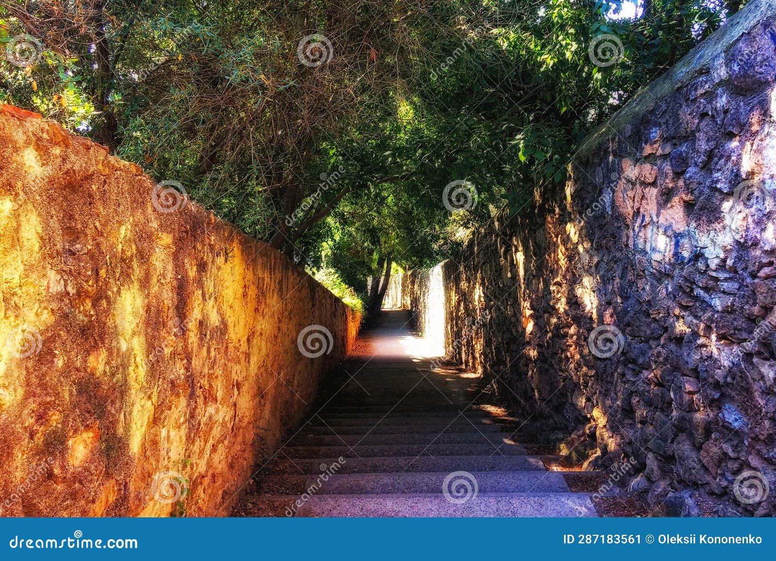 Ladder Leading Down, Tight Space, Tangle of Tree Branches, Light at the ...
