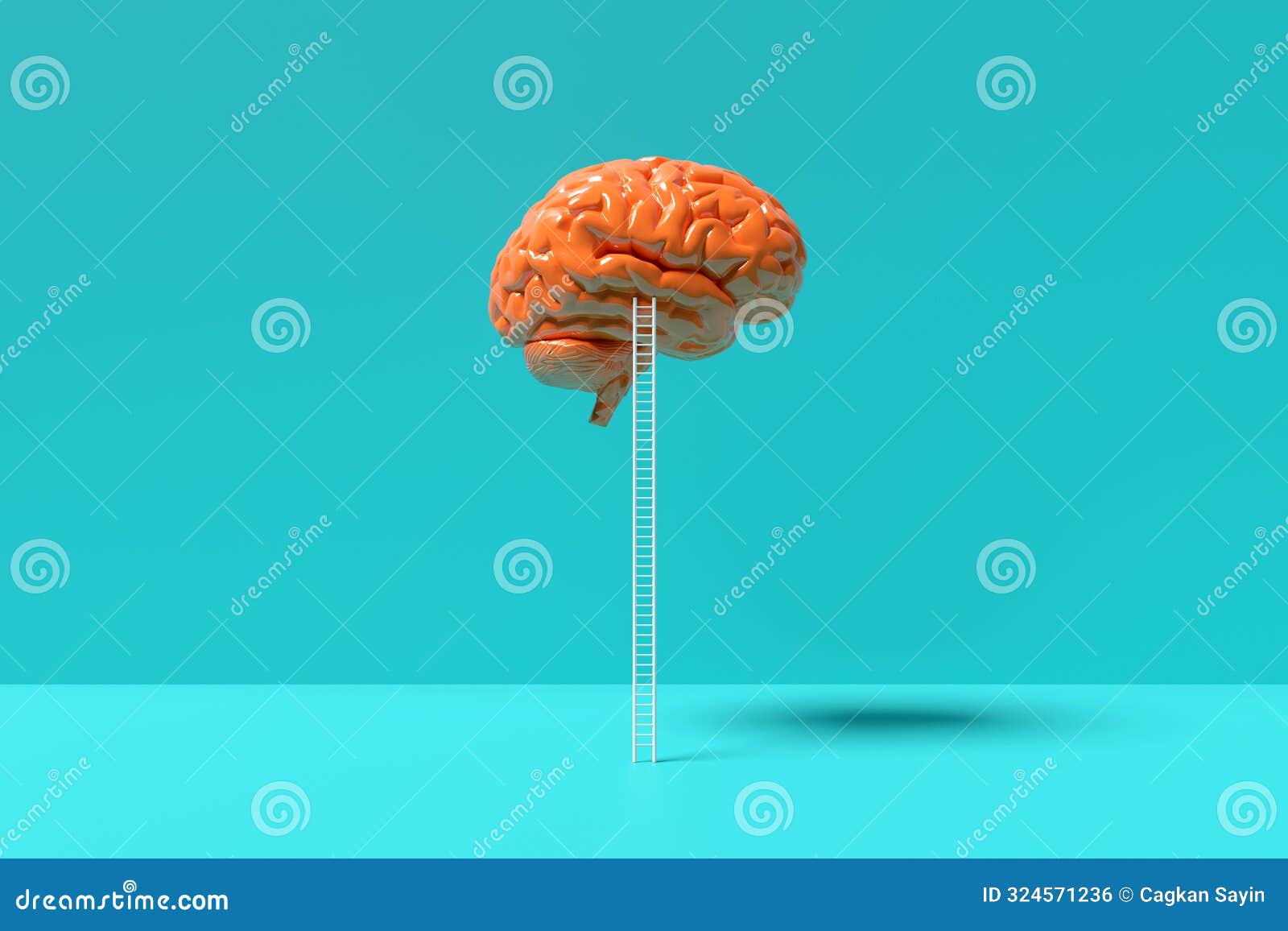 Ladder Leaning Onto a Human Brain Stock Illustration - Illustration of ...