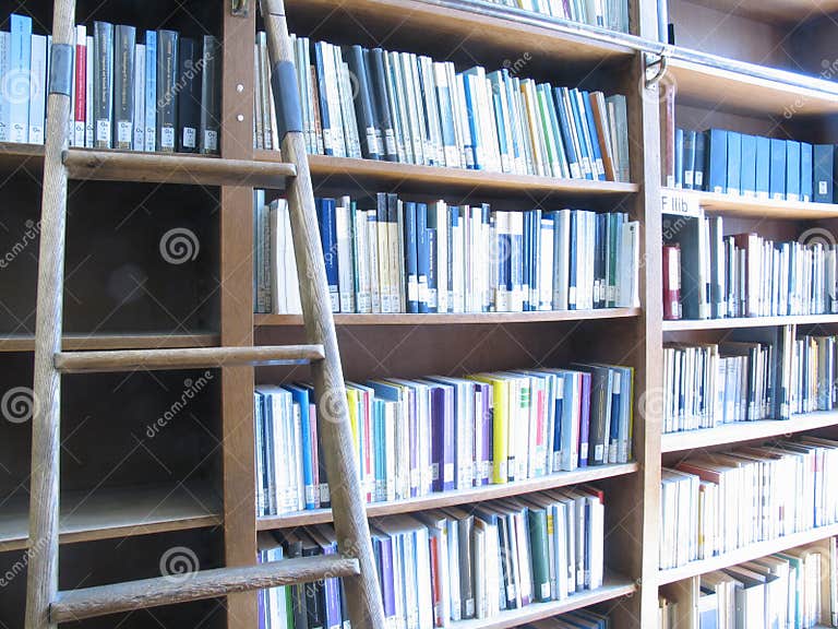 Ladder & library stock image. Image of read, ladder - 10069