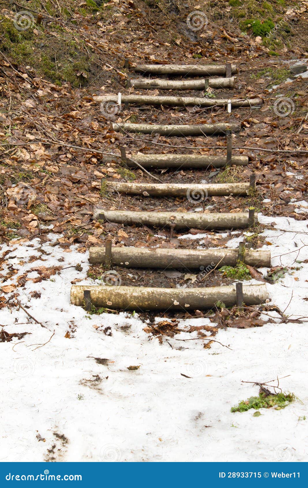 Ladder from logs stock image. Image of slope, construction - 28933715