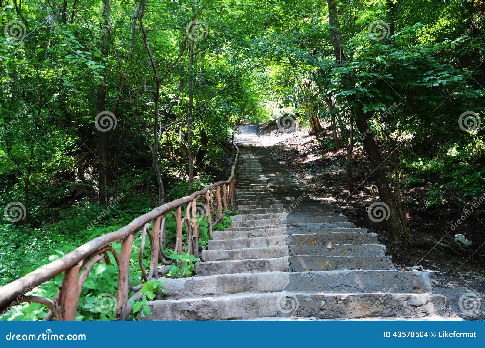 Ladder In Forest Royalty-Free Stock Photo | CartoonDealer.com #159547803