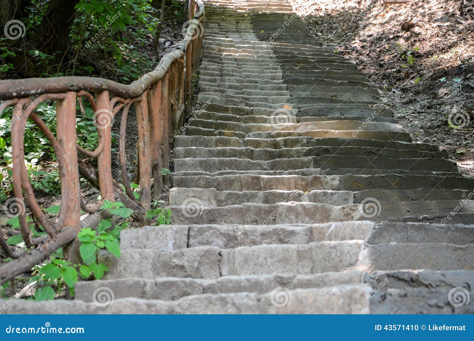 Ladder in mountain forest stock photo. Image of nature - 43571410
