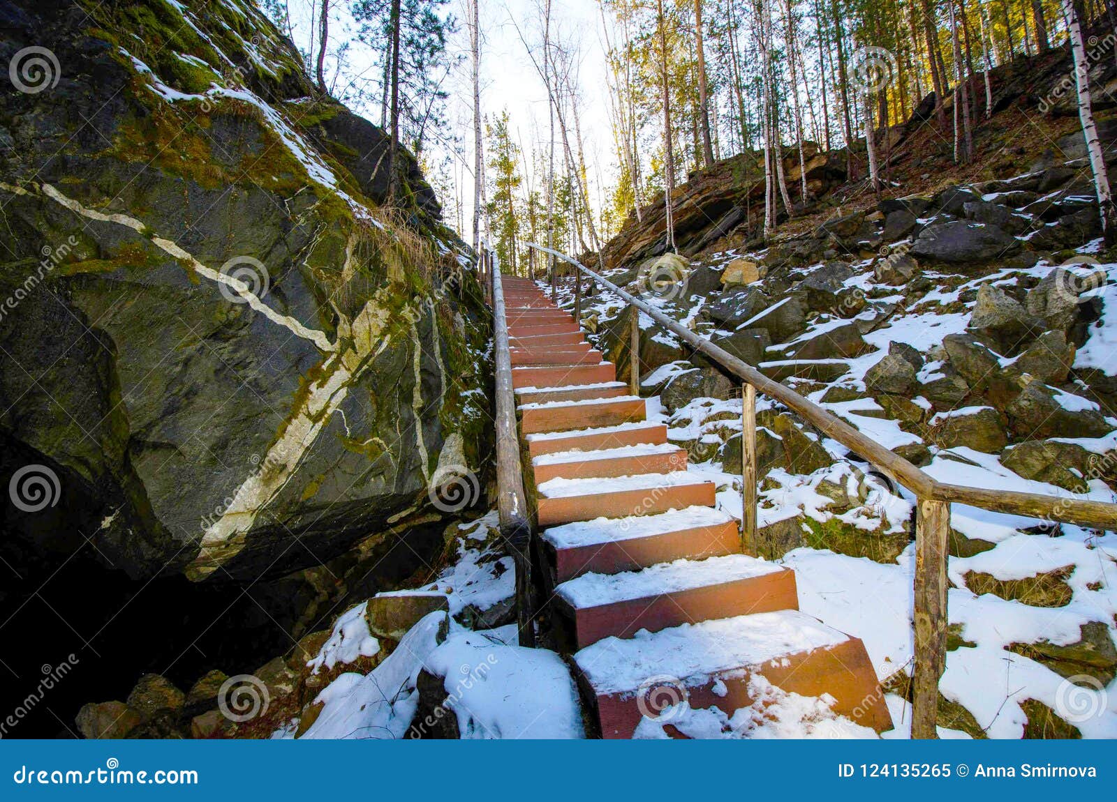 A Ladder in the Mountains among the Trees Stock Image - Image of ...