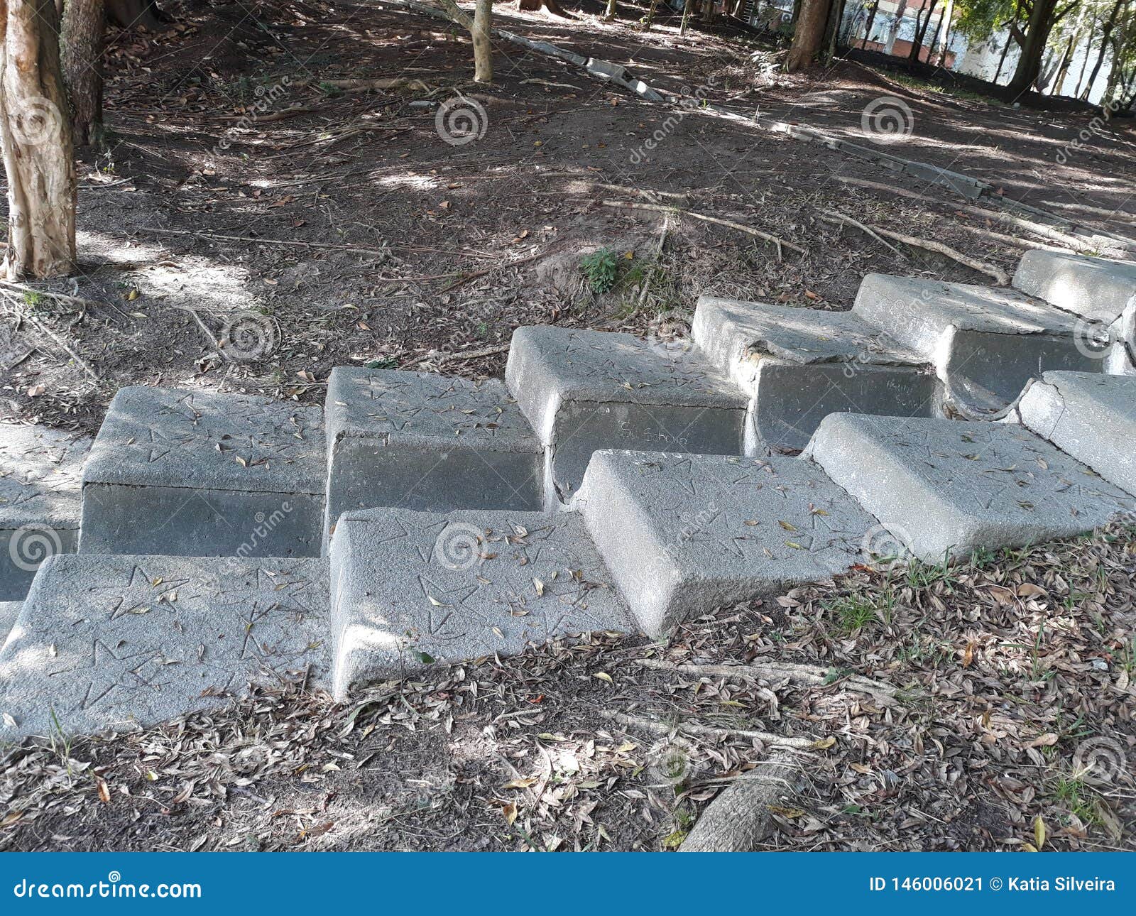 Ladder nature stock image. Image of wide, steps, nature - 146006021