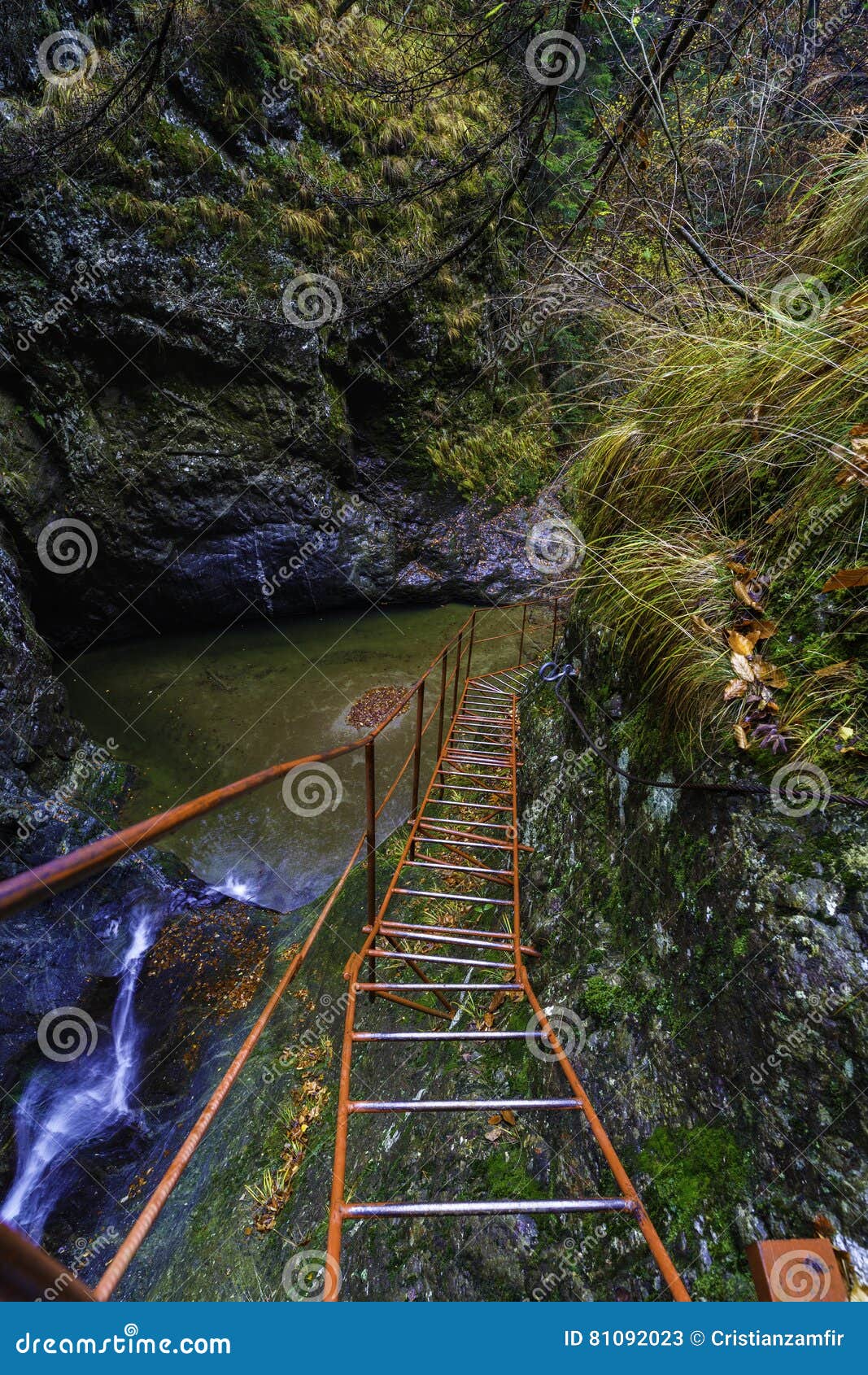 Ladder near a waterfall stock image. Image of rock, rocks - 81092023