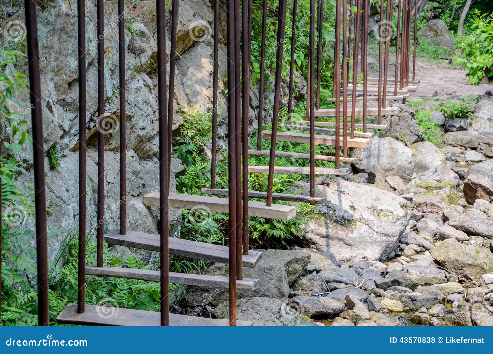 Ladder For Obstacle Course Stock Photo | CartoonDealer.com #43570788